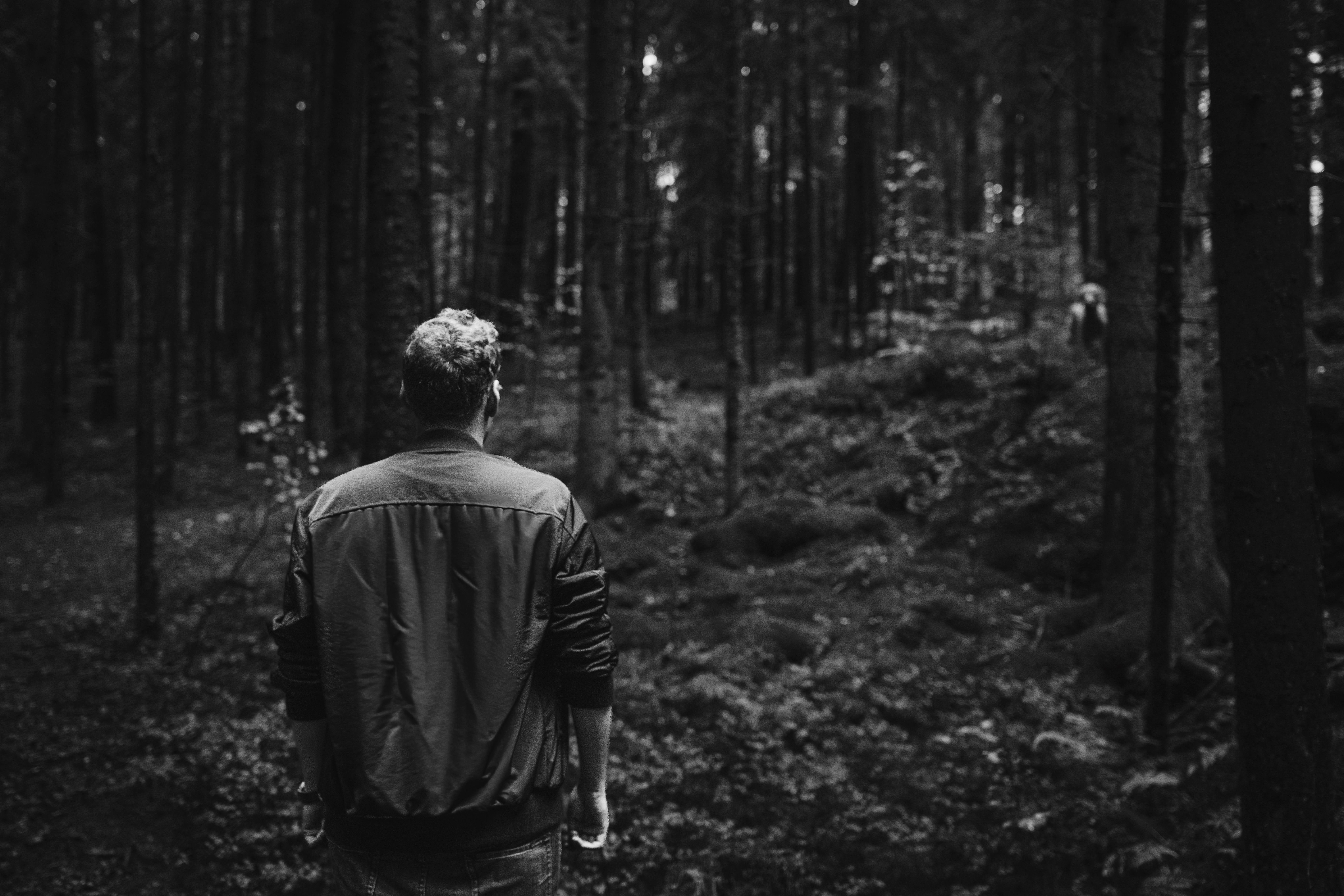 Moody Black and White Forest Scene with Man · Free Stock Photo