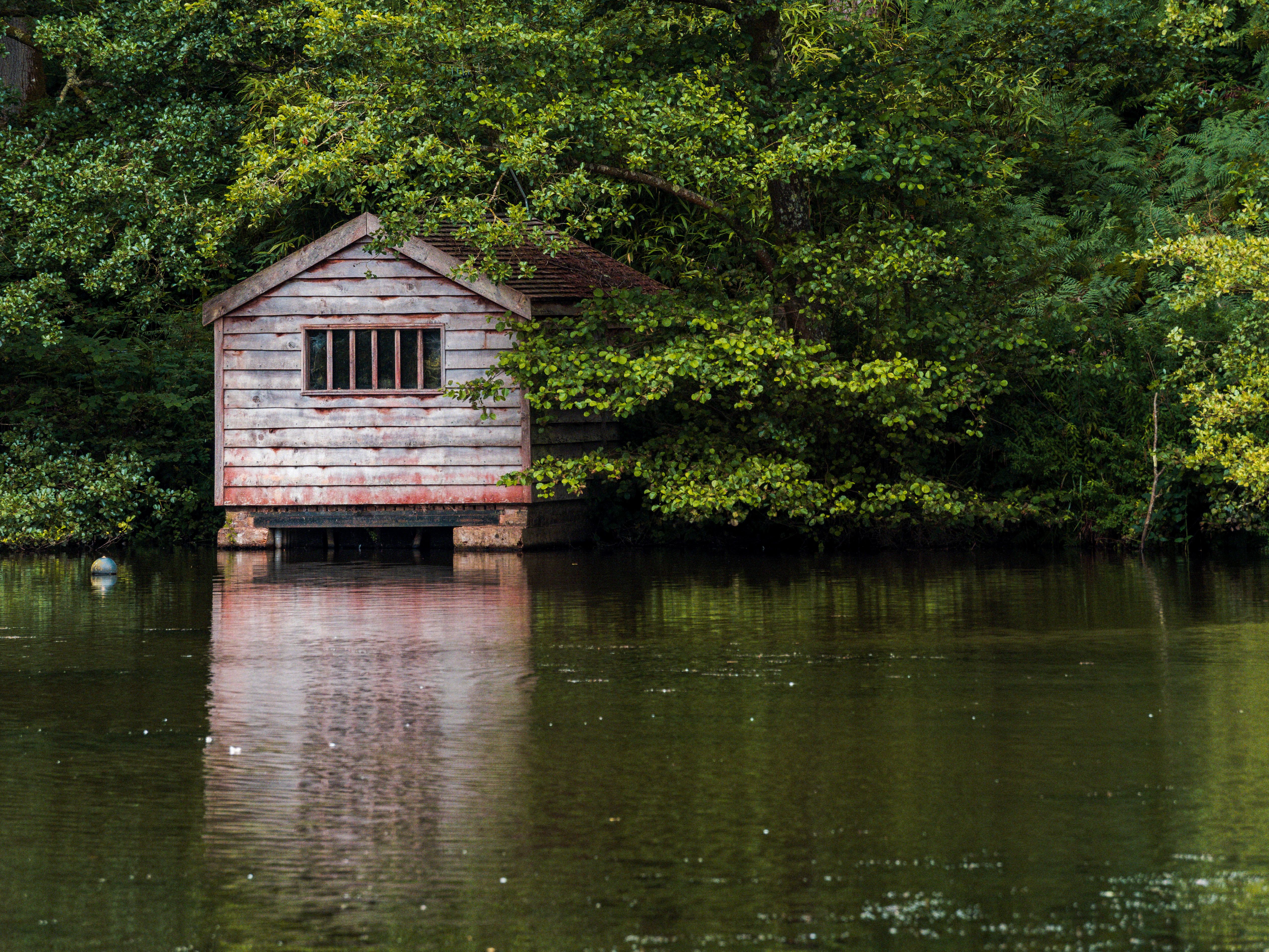 Tranquil Lakeside Boathouse in Forest Setting · Free Stock Photo