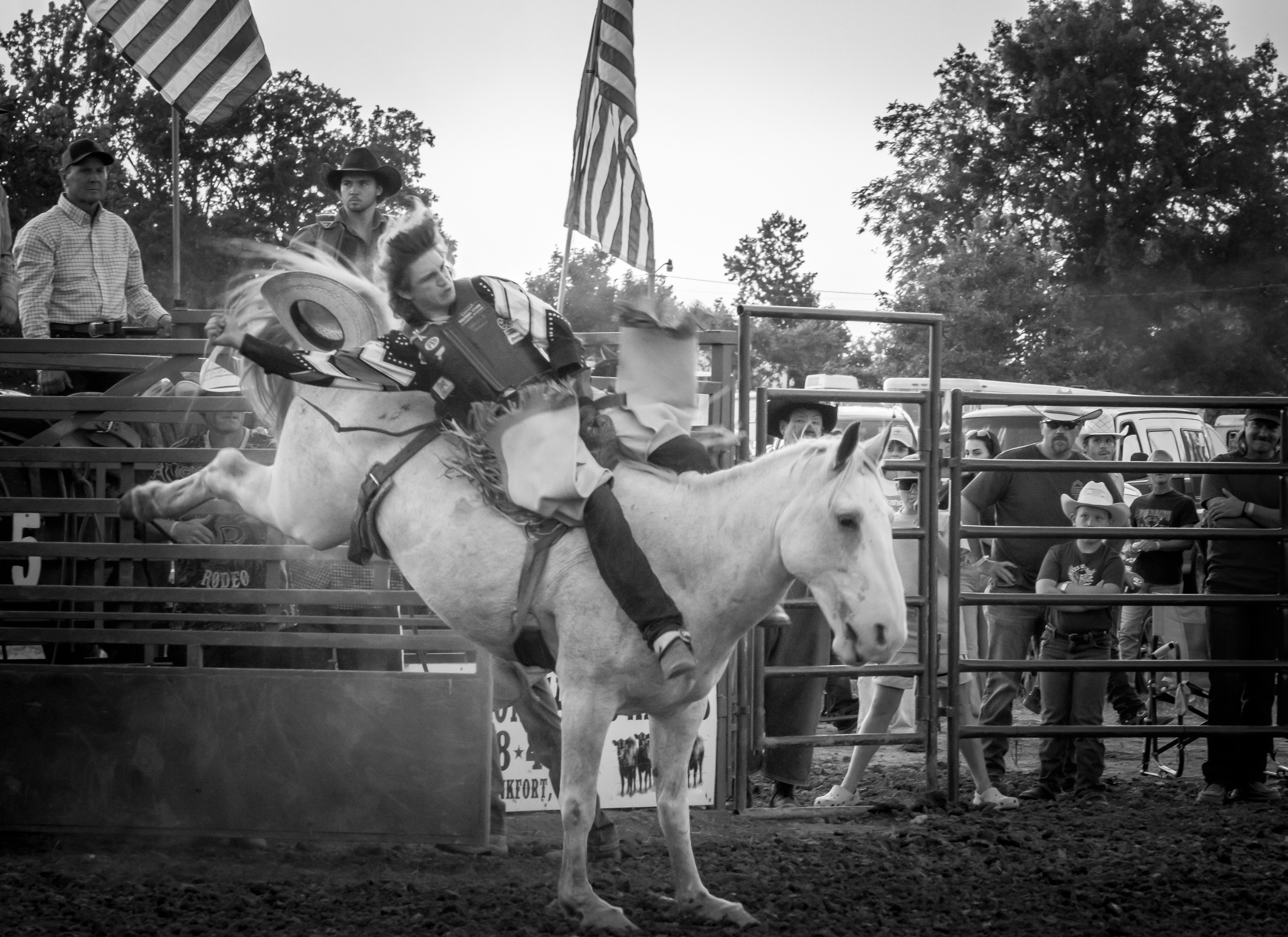Cowboy Culture Photos, Download The BEST Free Cowboy Culture Stock ...