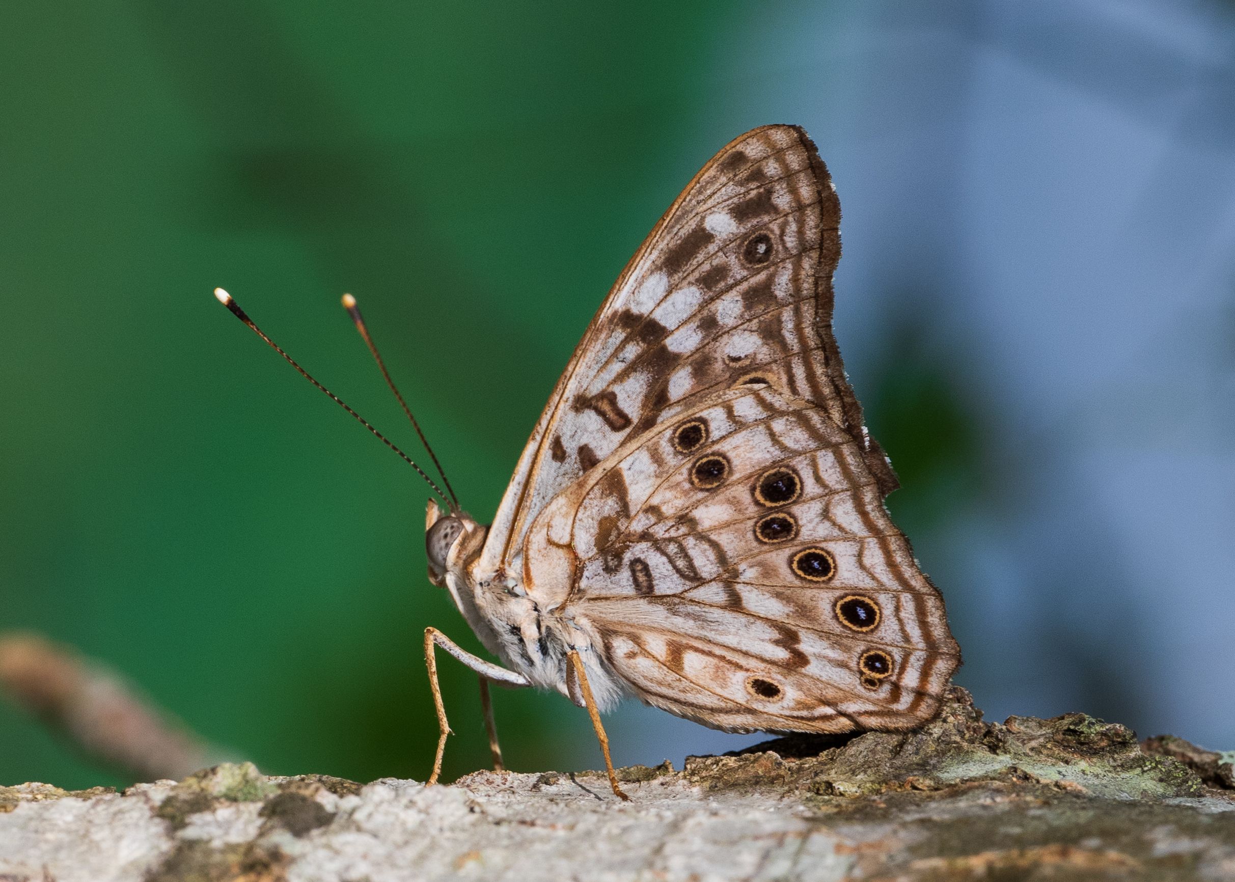 Details Photos, Download The BEST Free Details Stock Photos & HD Images