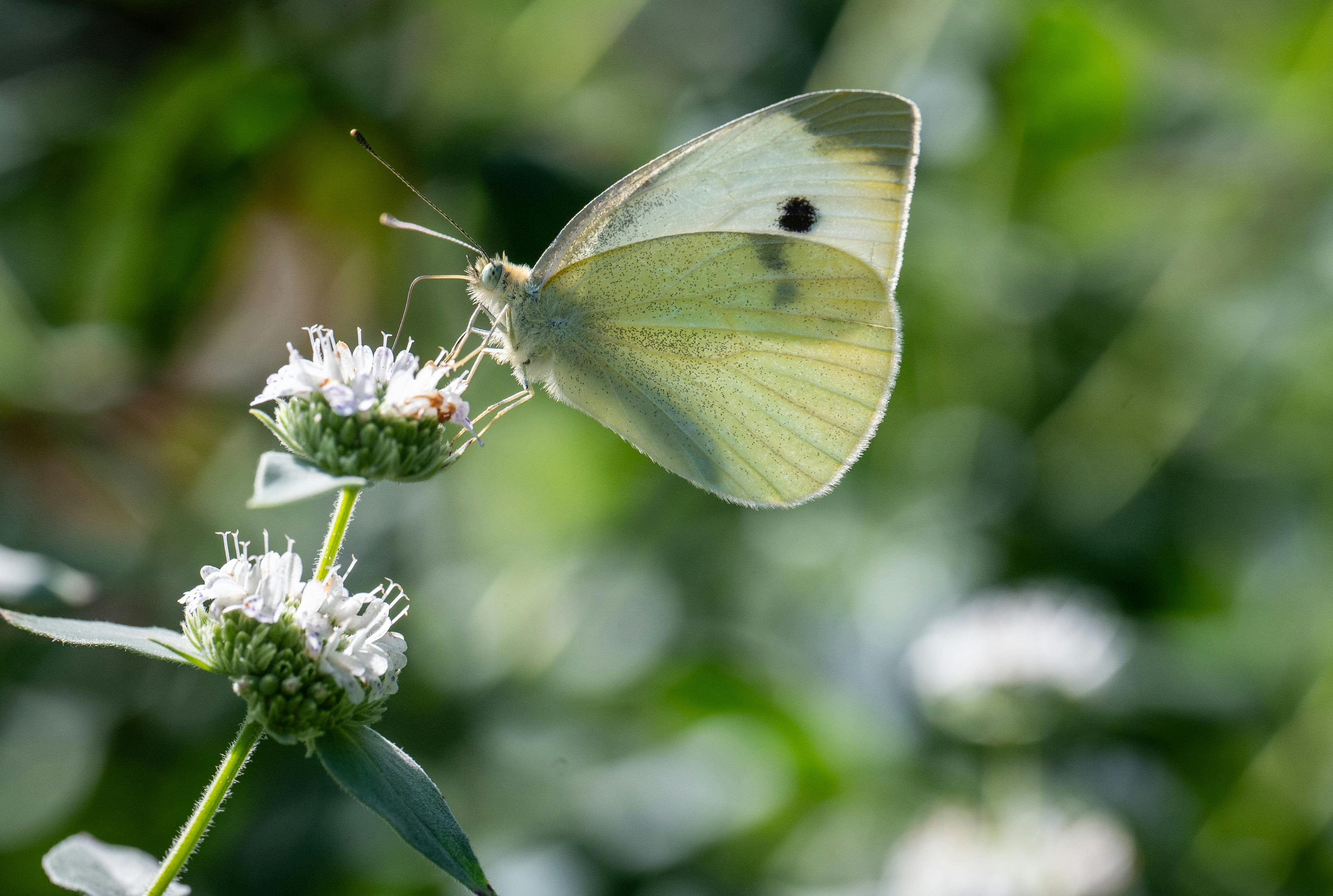 Spot Halling Photos, Download The BEST Free Spot Halling Stock Photos ...