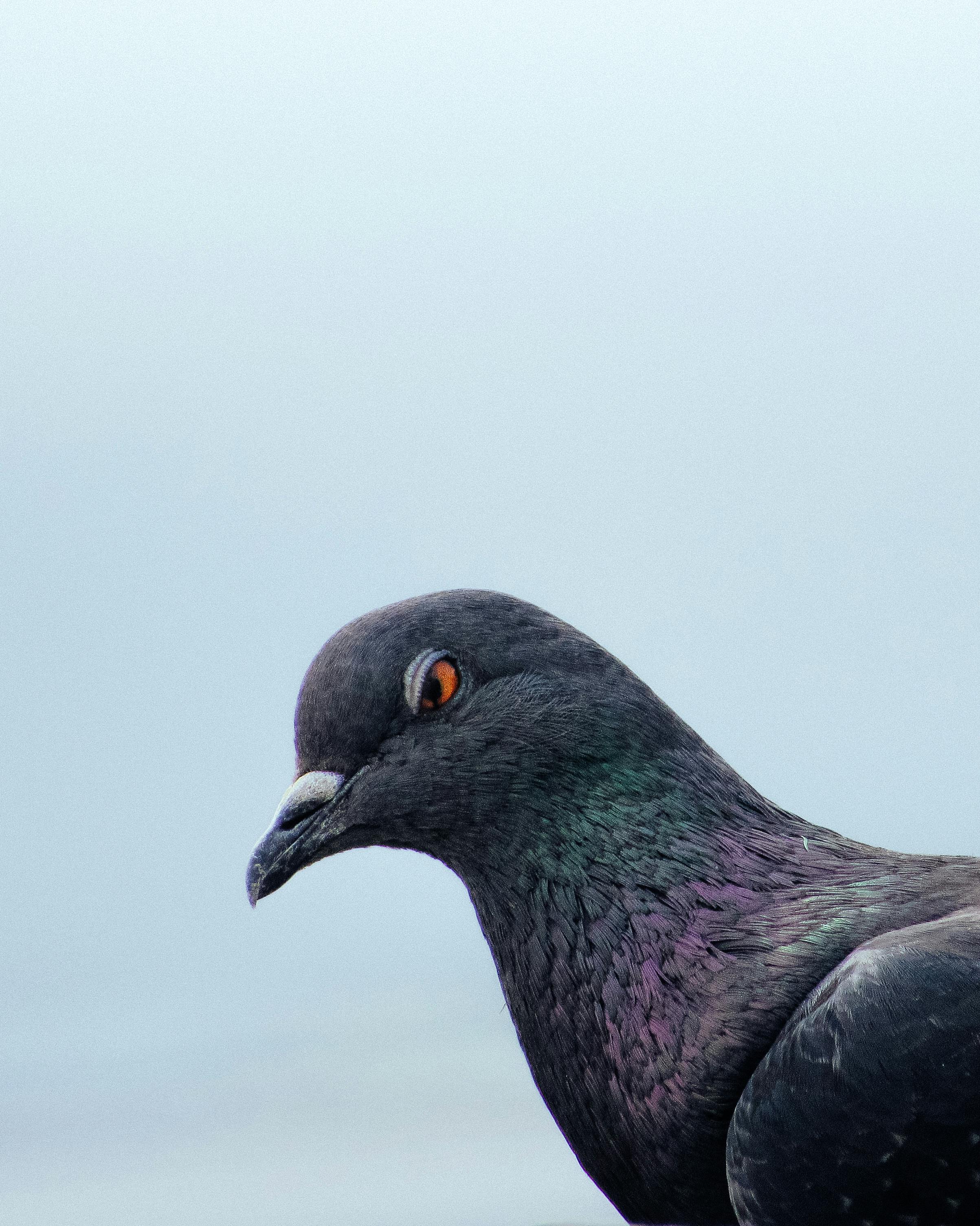 Toxic Profile Picture Photos, Download The BEST Free Toxic Profile ...