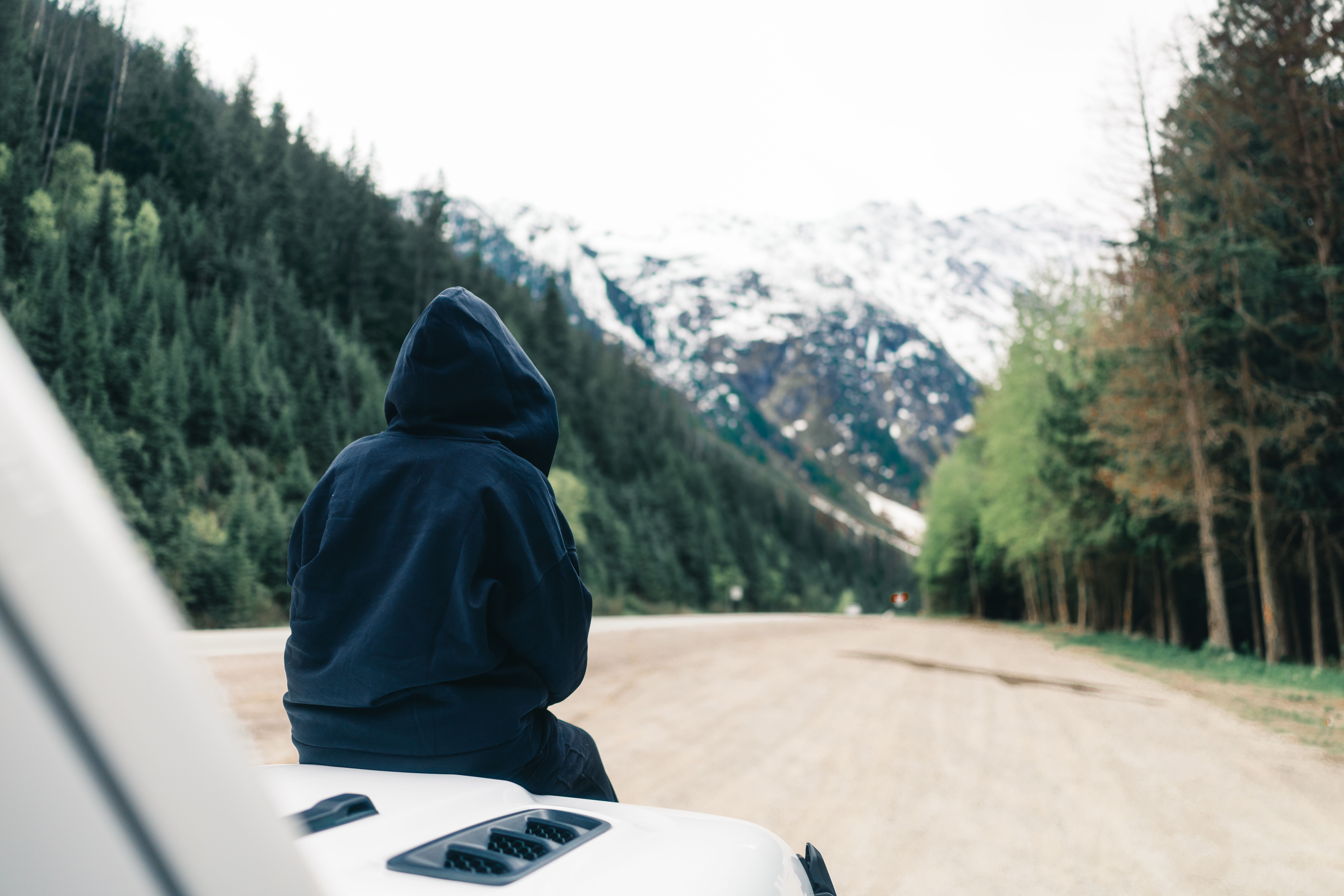 Serene Roadside View in British Columbia Forest · Free Stock Photo
