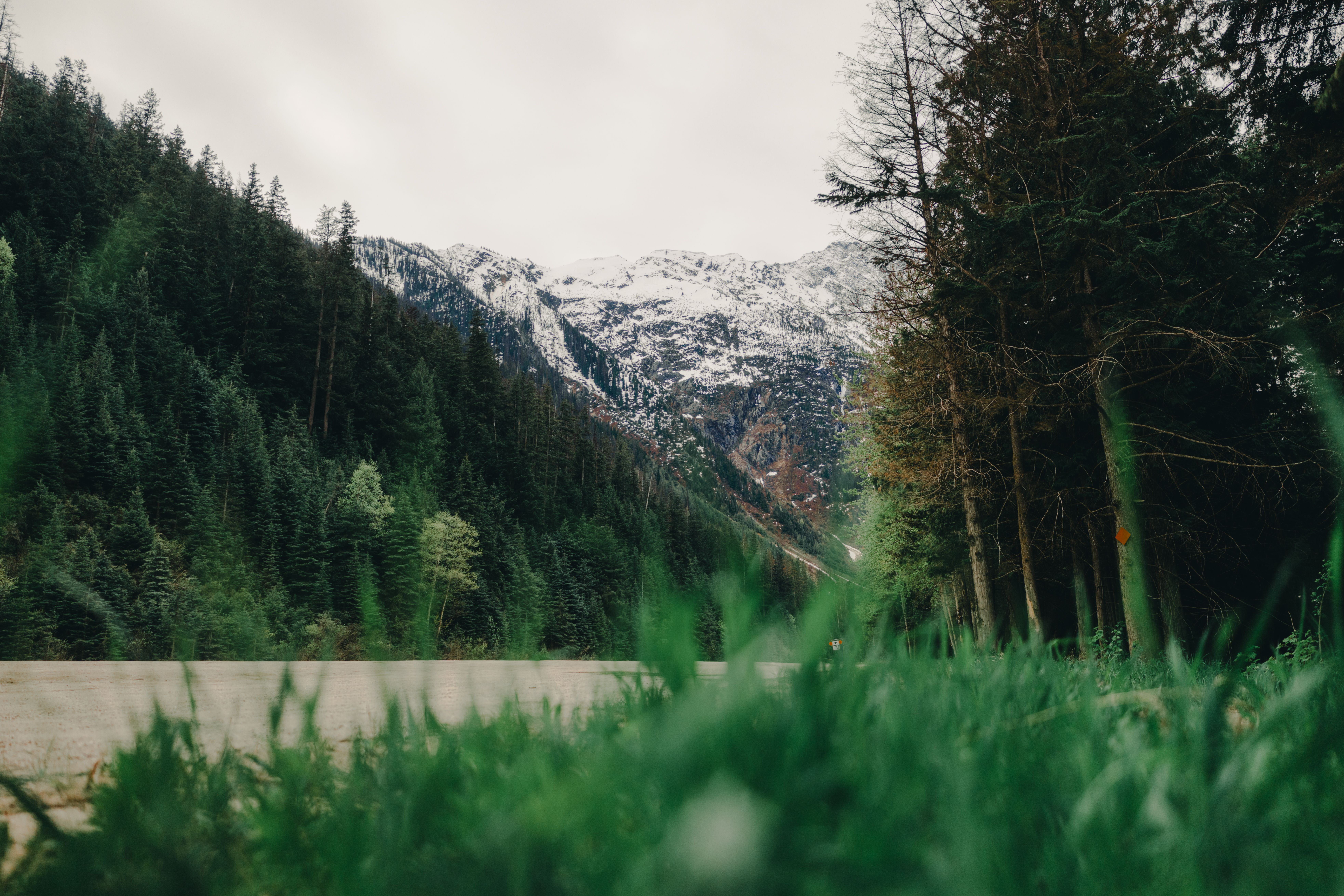 Northern British Columbia Scenic Mountain View · Free Stock Photo