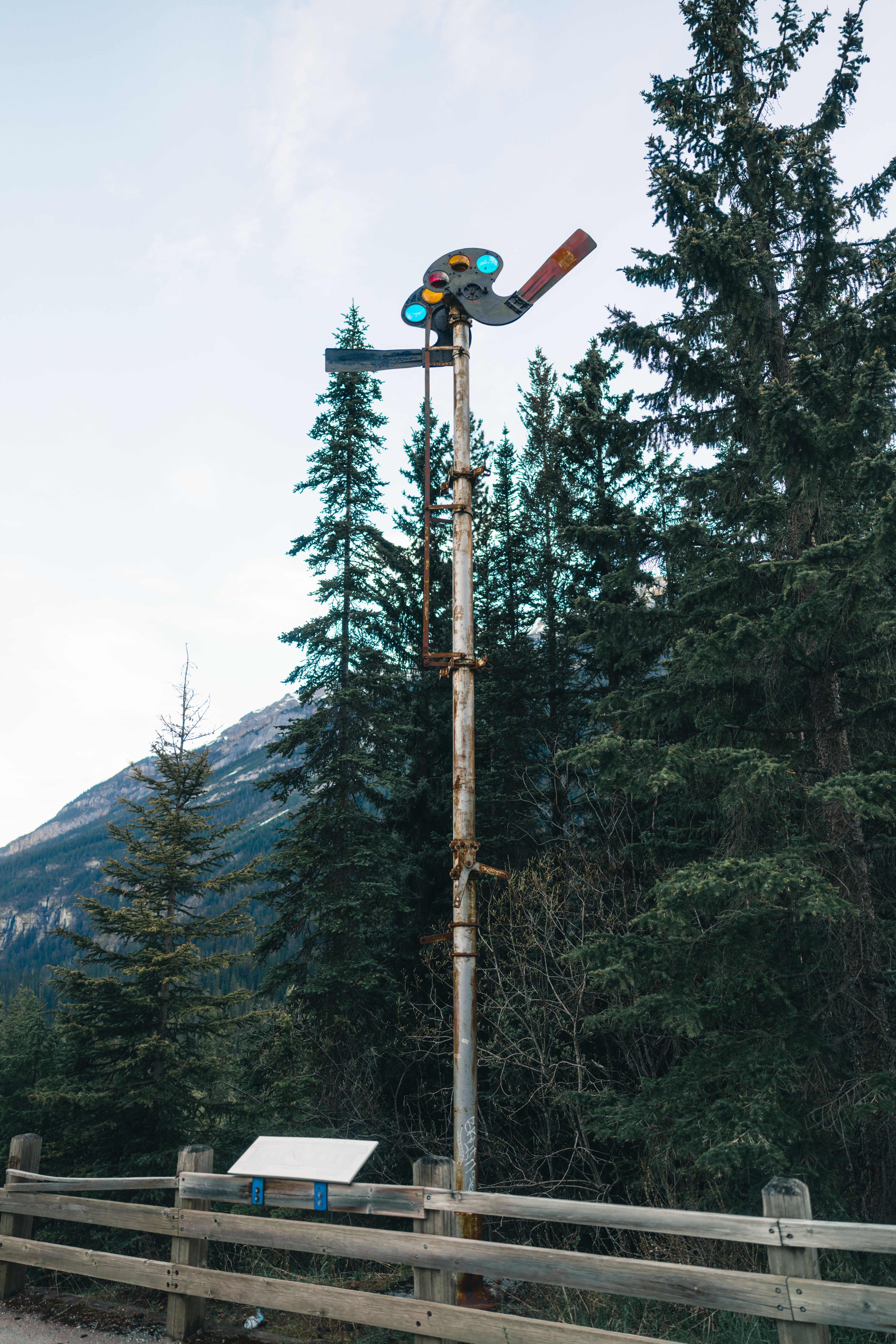 Rustic Signal Post in Canadian Forest Setting · Free Stock Photo