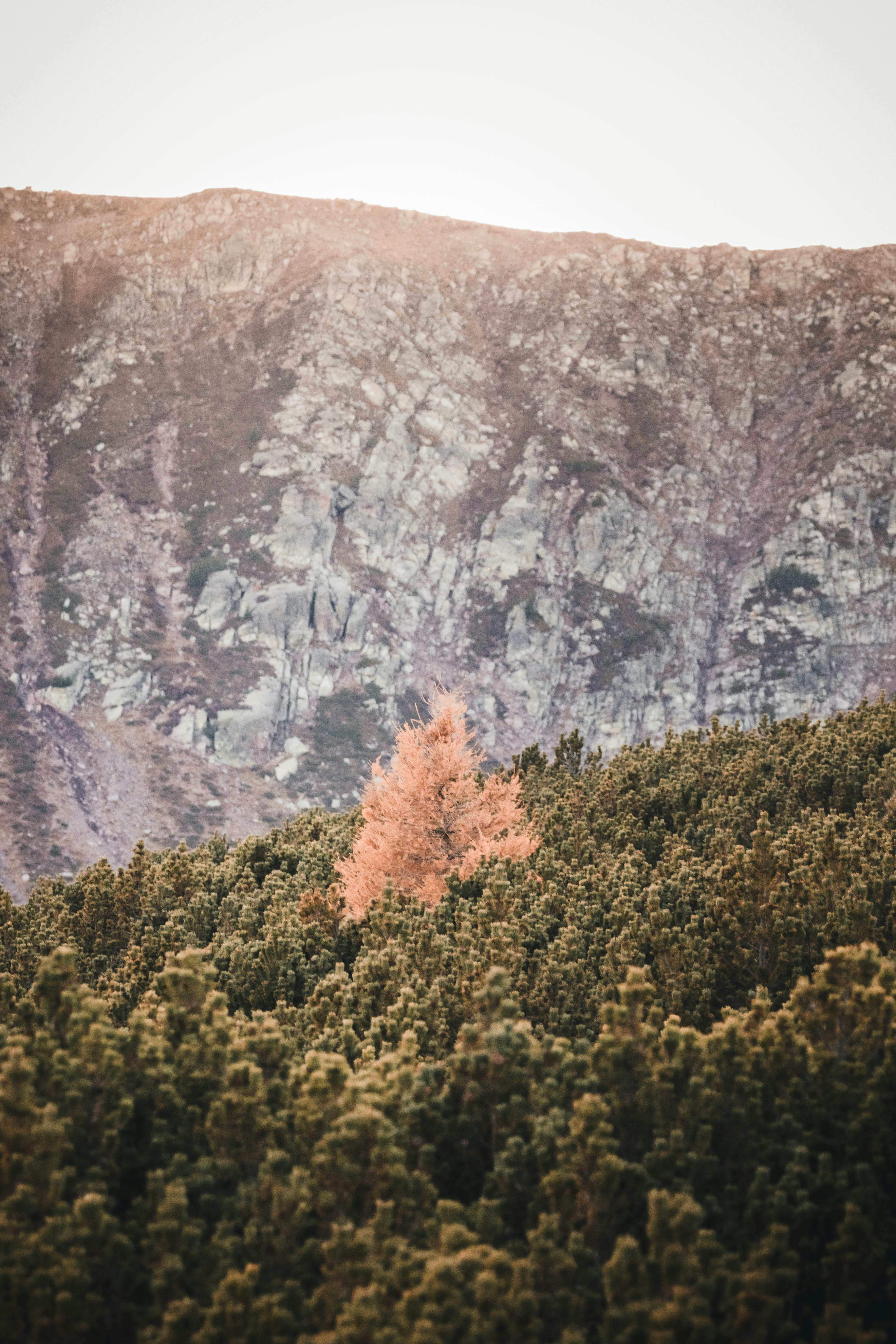 Simon Rizzi - Photography