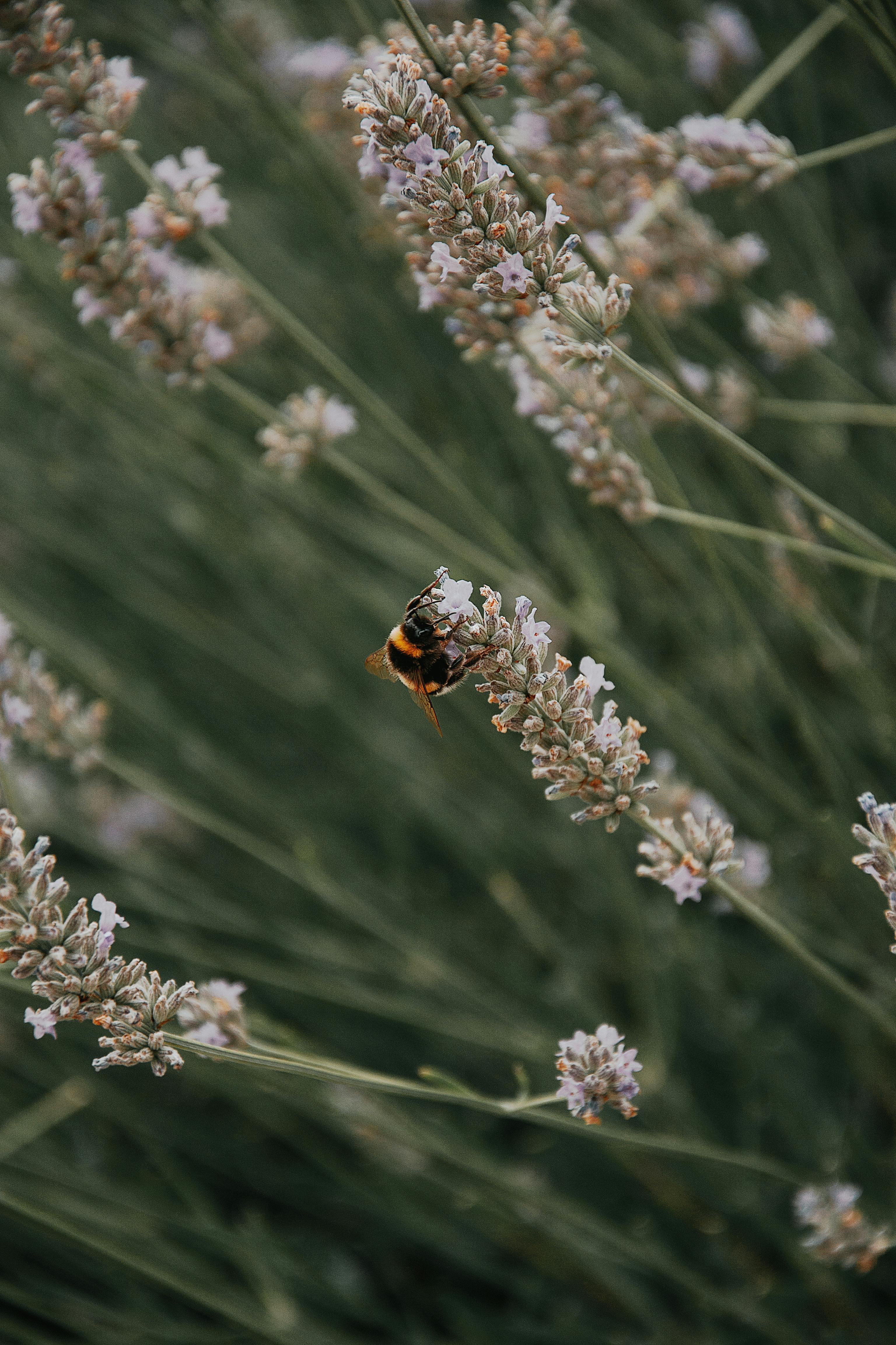 Android Background Photos, Download The BEST Free Android Background ...