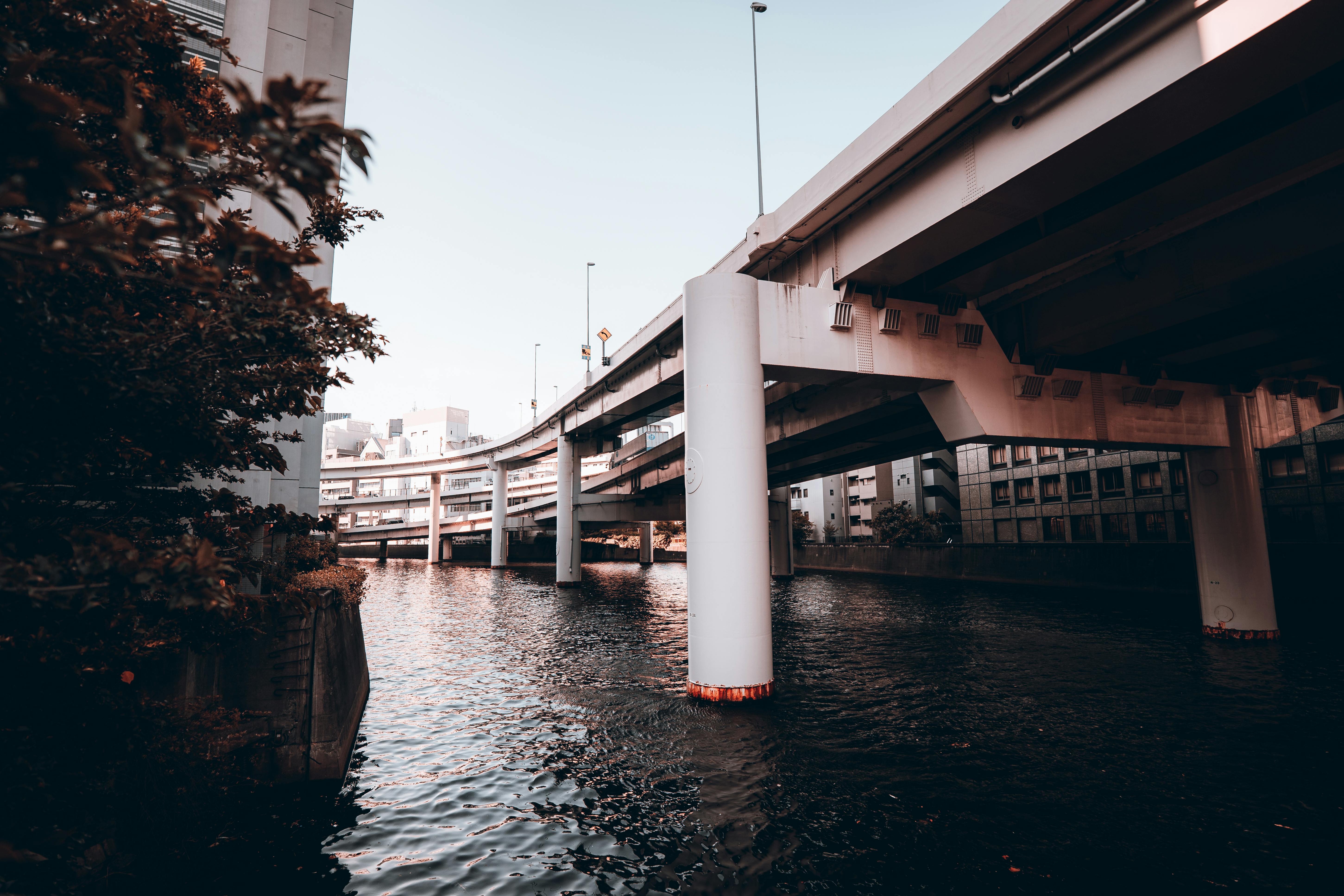 Japanese Signature Photos, Download The BEST Free Japanese Signature ...