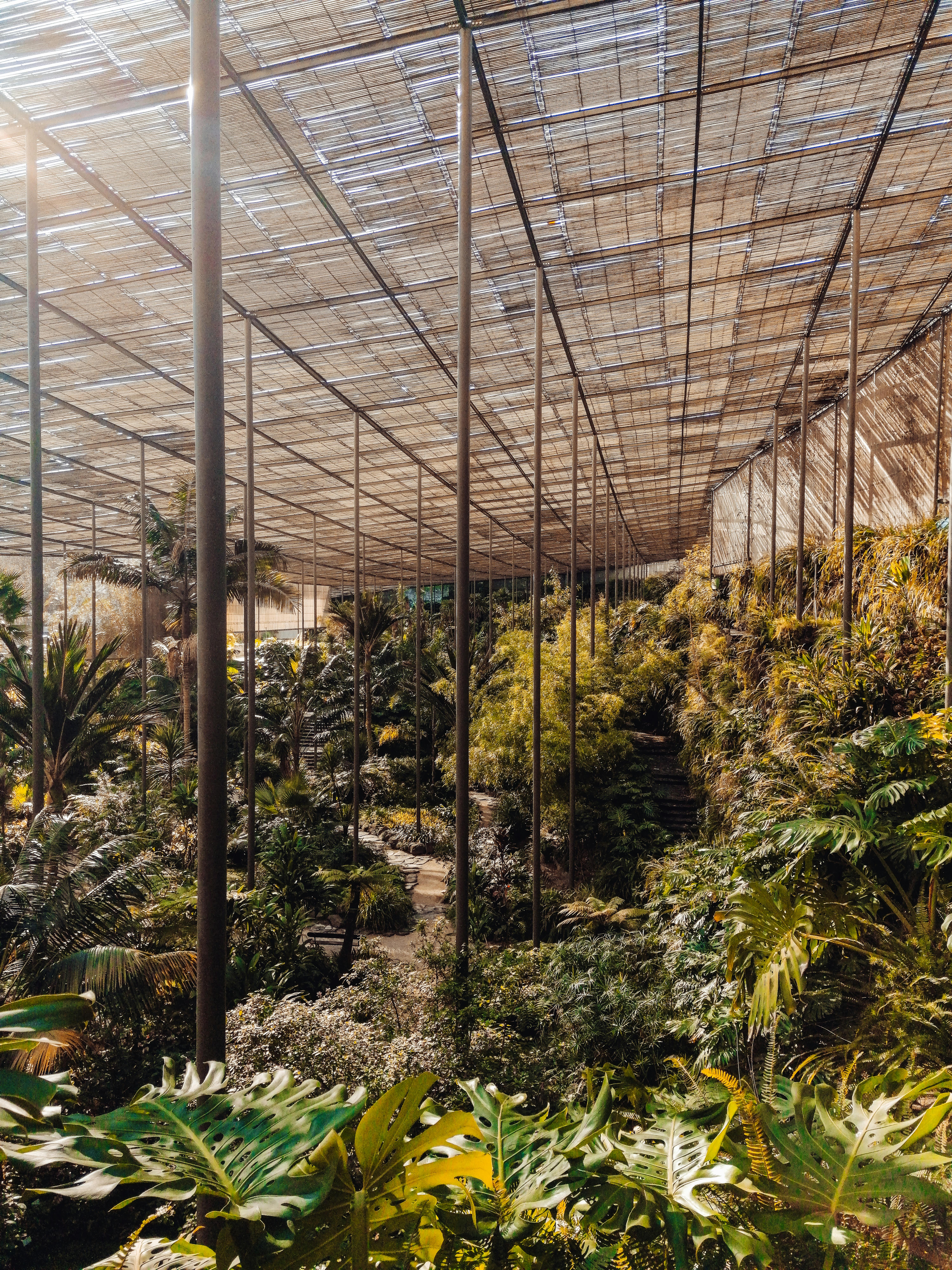 Indoor Forest Photos, Download The BEST Free Indoor Forest Stock Photos ...