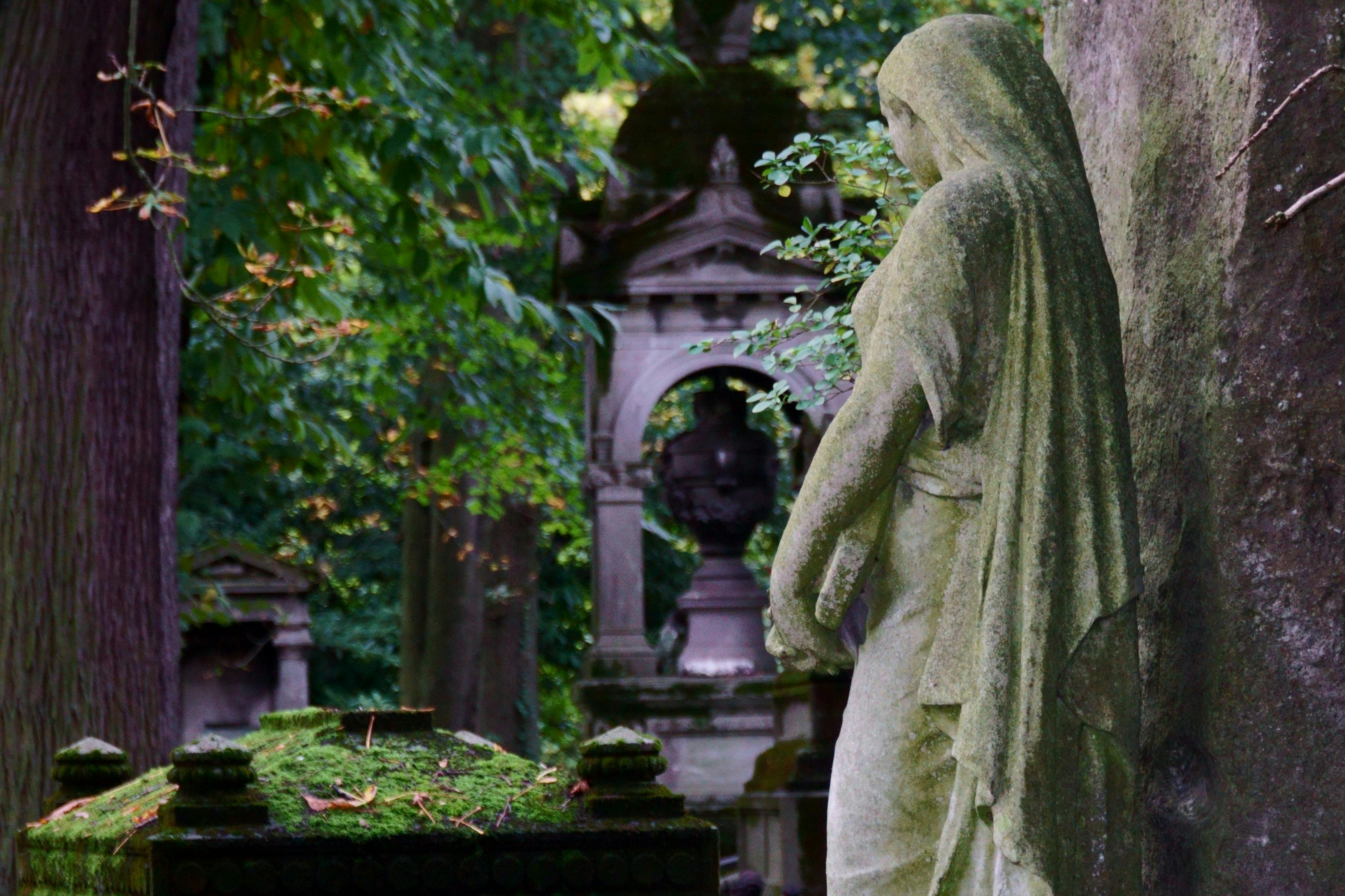 Apocalypse Graveyard Photos, Download The BEST Free Apocalypse ...