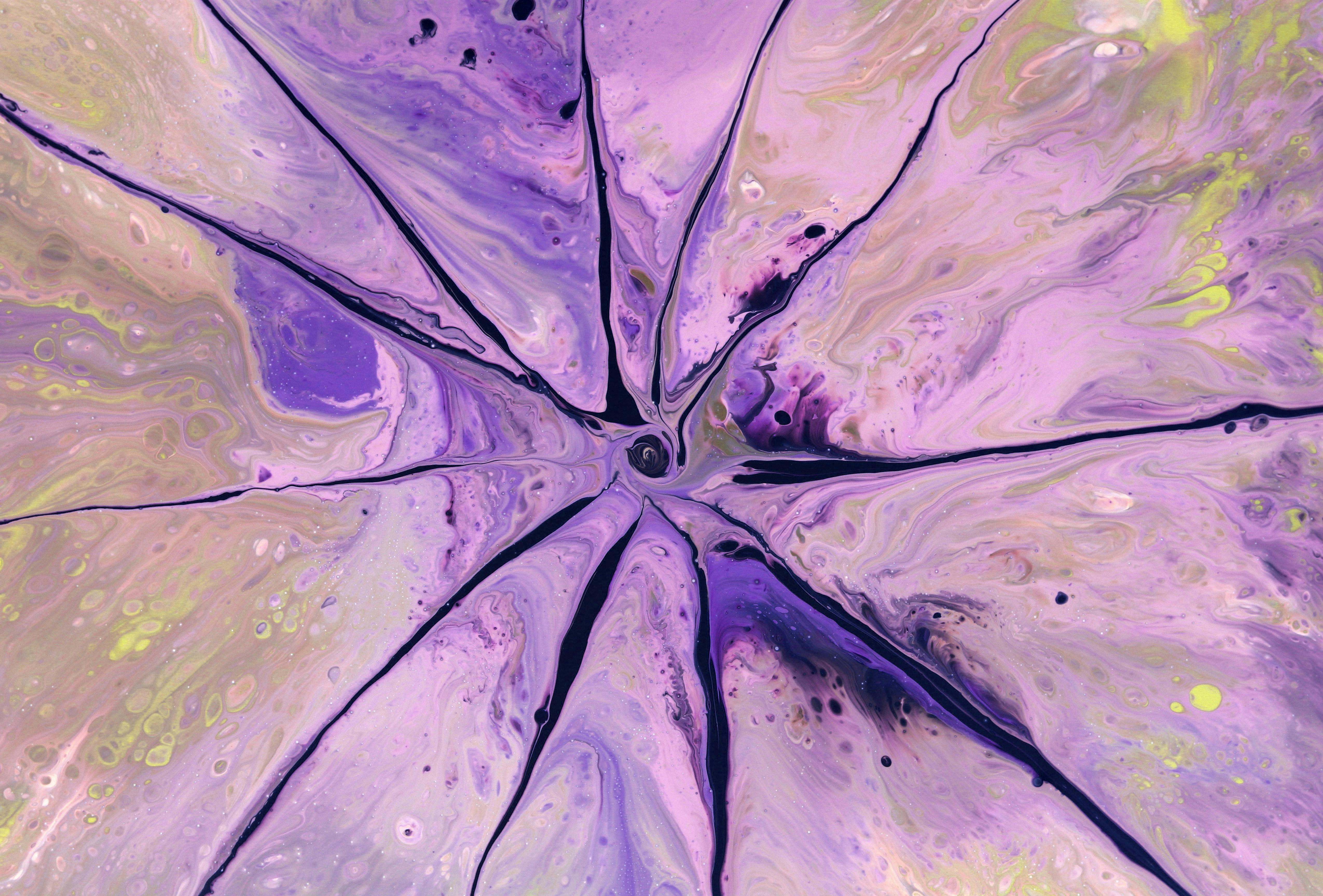 Contemporary Art Photos, Download The BEST Free Contemporary Art Stock ...