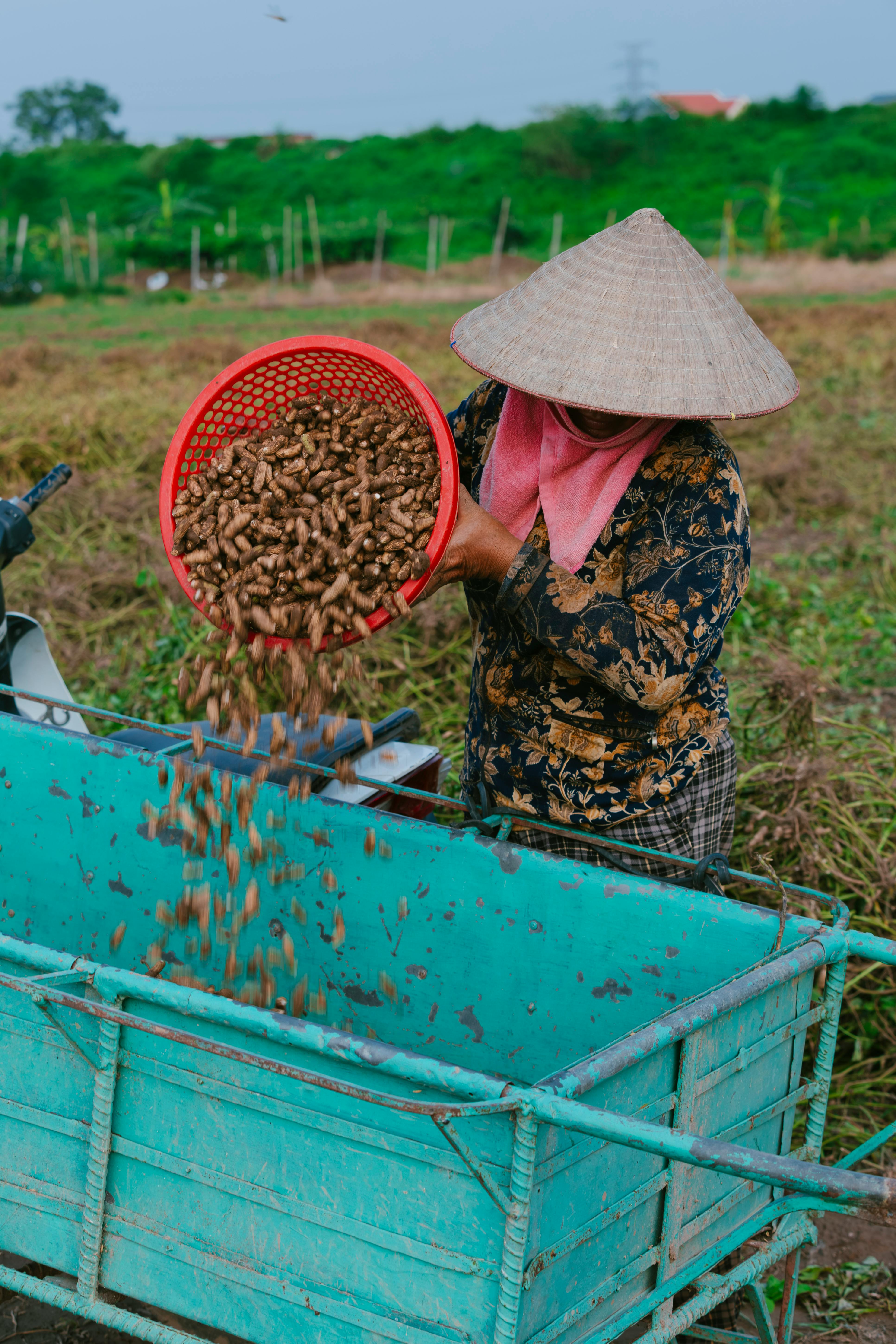 Sorting Algorithms Photos, Download The BEST Free Sorting Algorithms ...