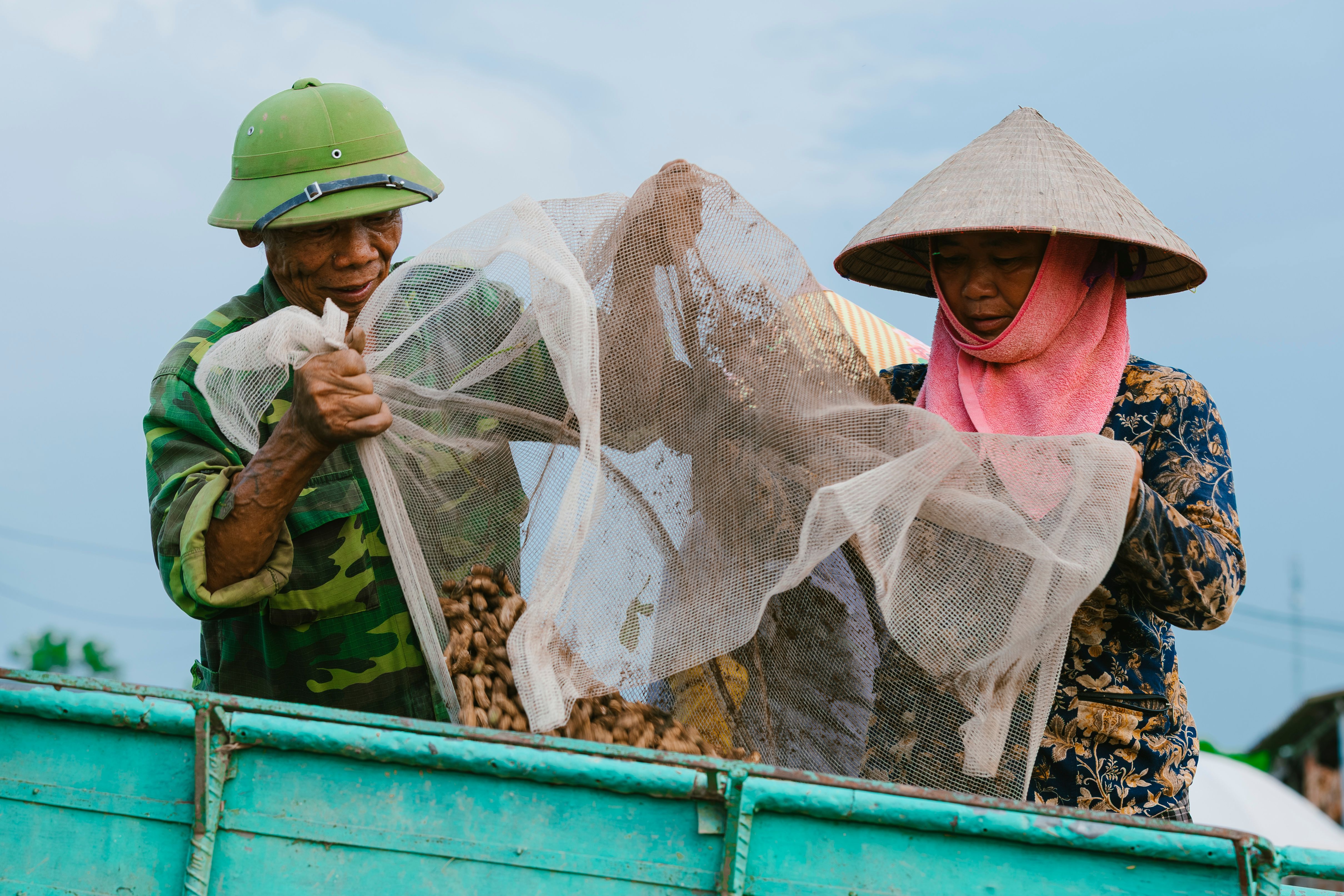 Farmers Sorting Harvest in Traditional Attire · Free Stock Photo