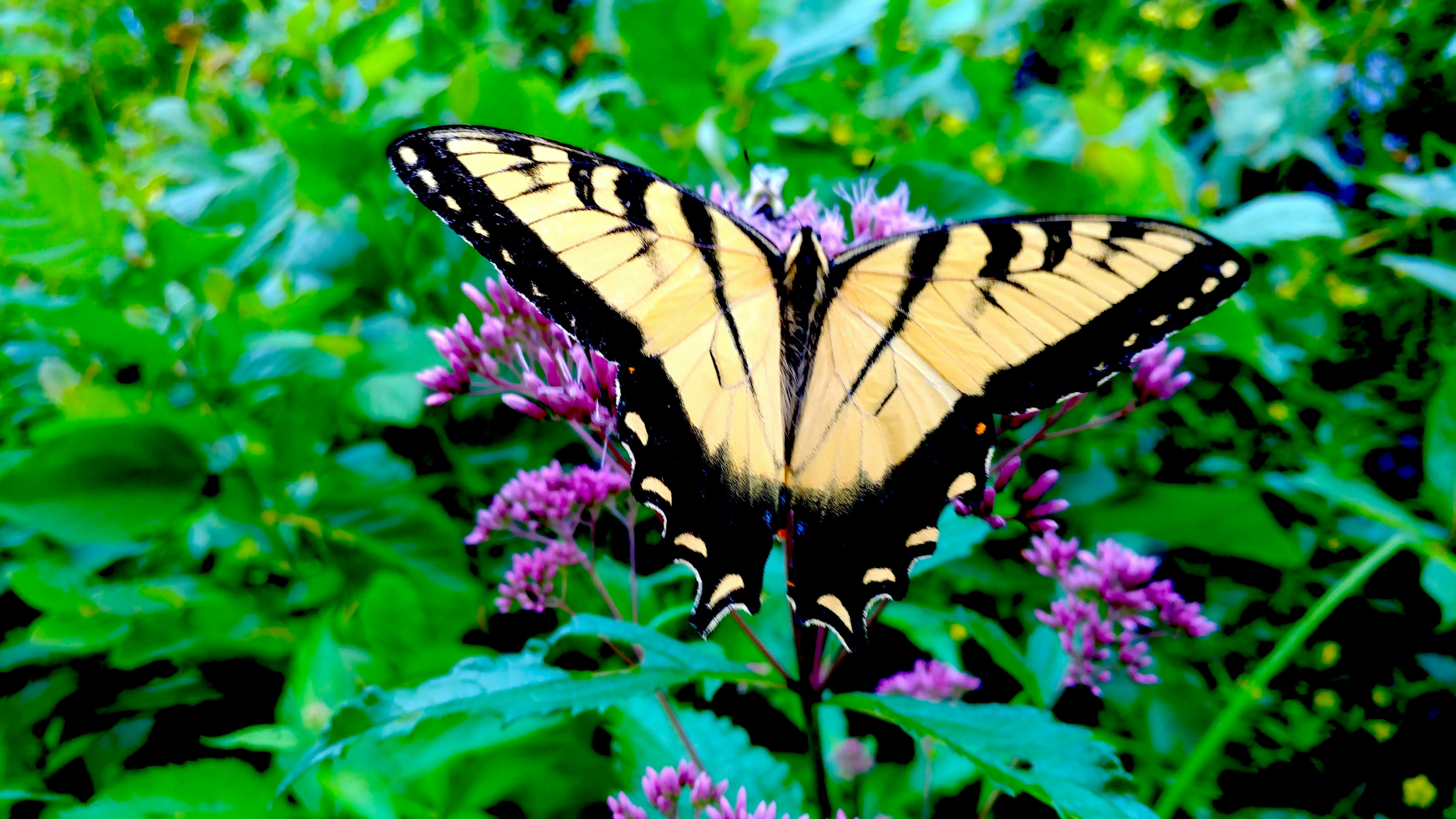 Stacey Weber – Fotografie