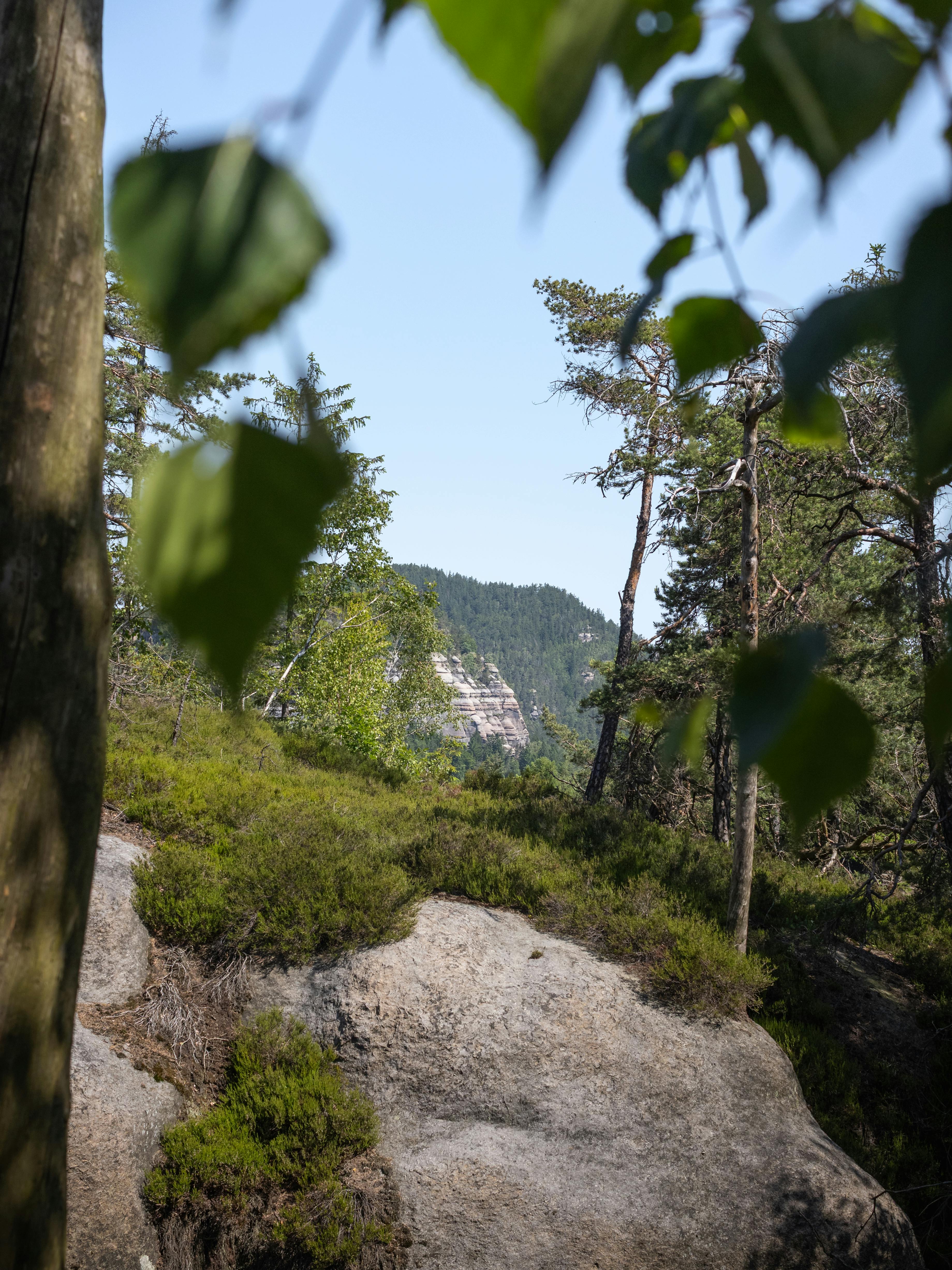 Mayur Pankh Wallpaper Photos, Download The BEST Free Mayur Pankh ...