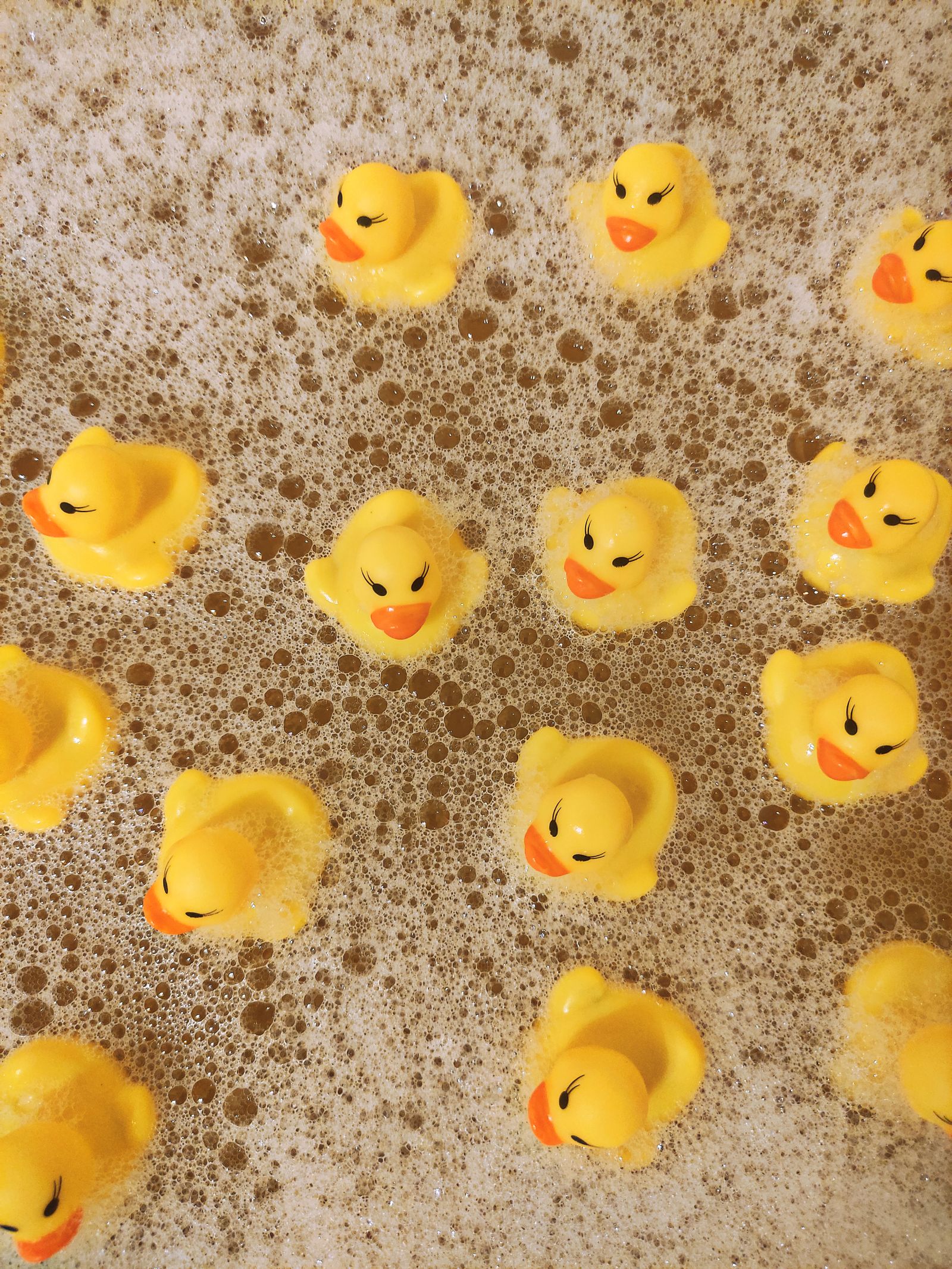 Funny Duck Photos, Download The BEST Free Funny Duck Stock Photos & HD ...