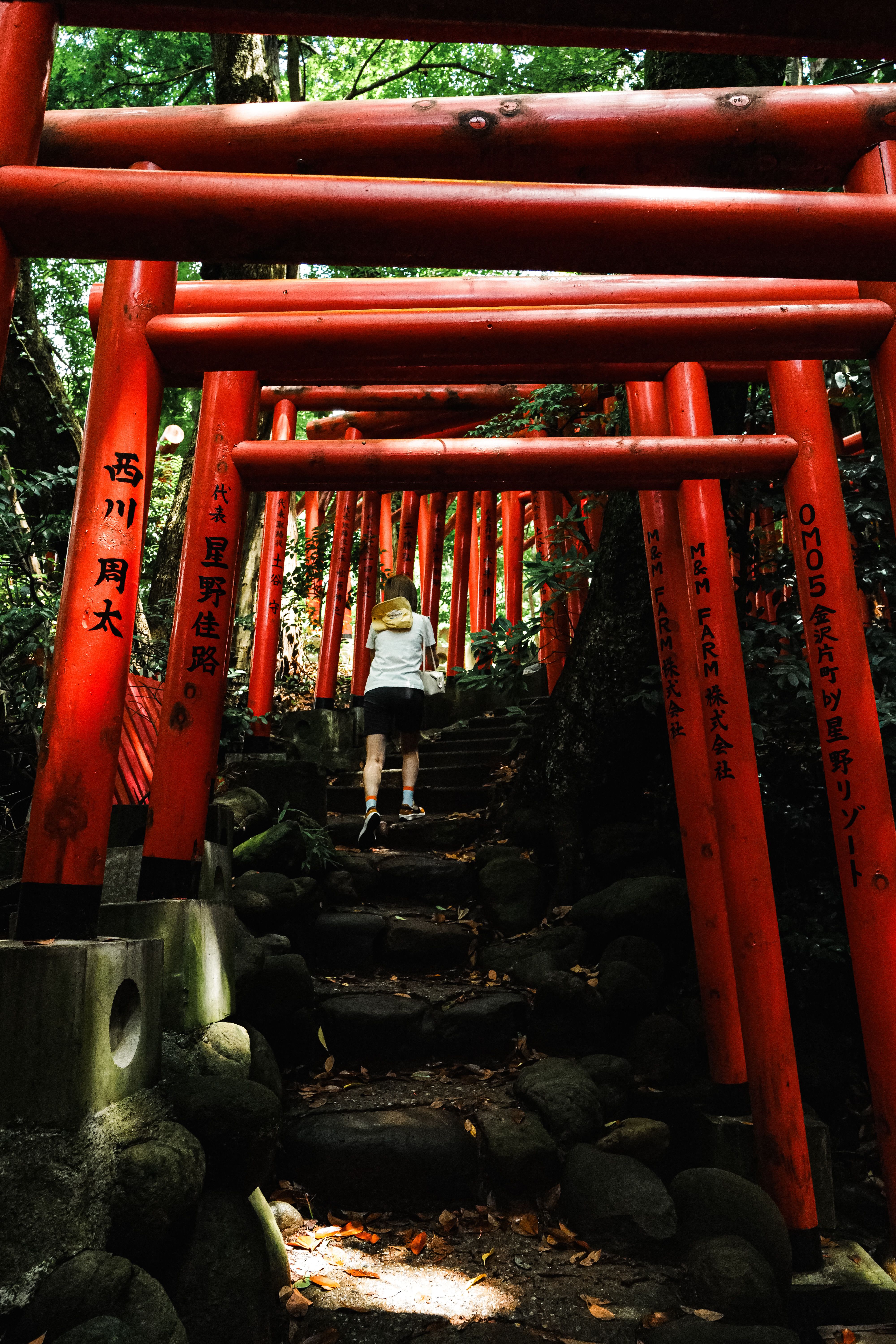 Vibrant Tori Gate Pathway in Kanazawa, Japan · Free Stock Photo