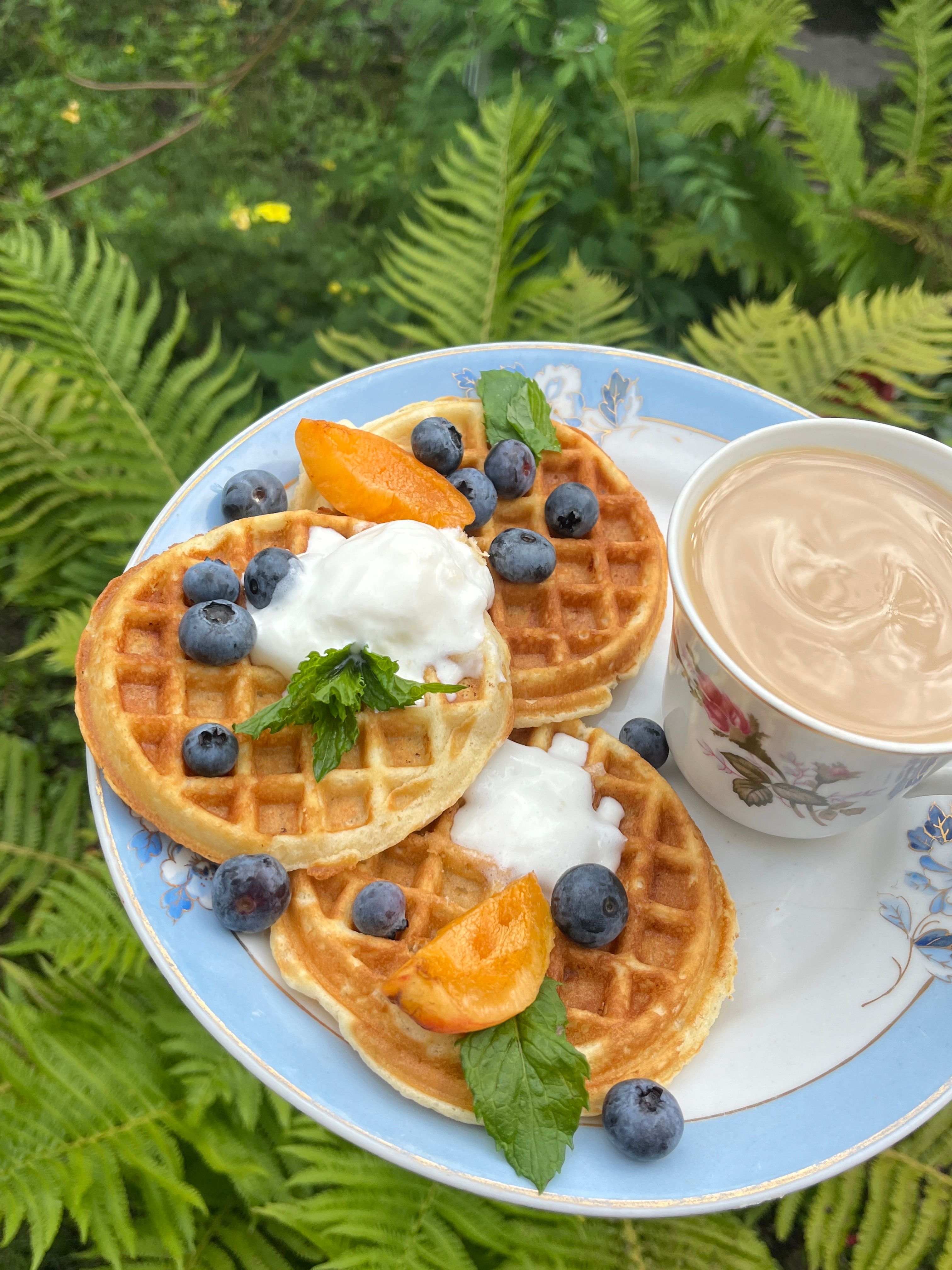 Summer Food Photos, Download The BEST Free Summer Food Stock Photos ...