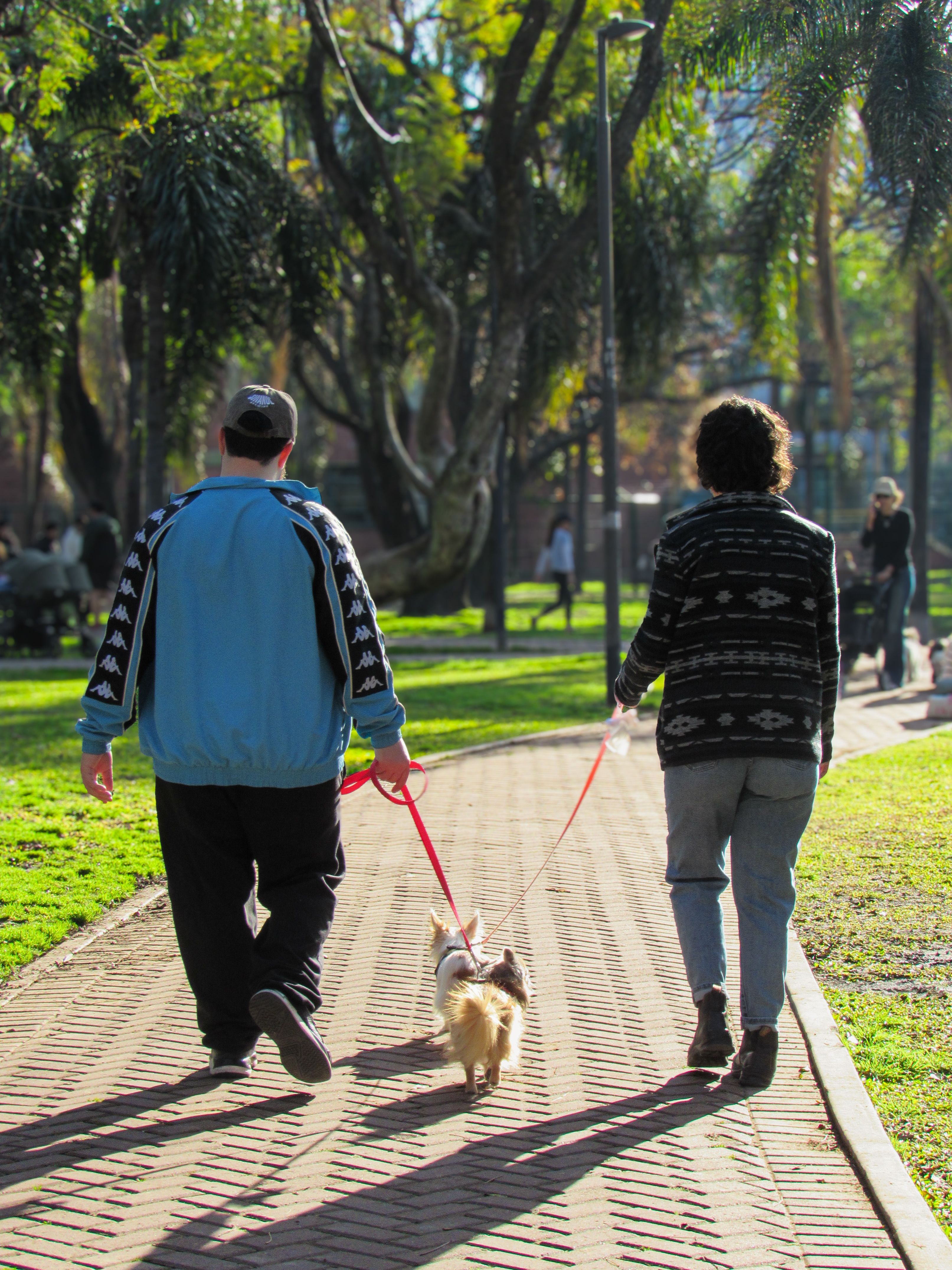 Two people walking dogs in Buenos Aires park · Free Stock Photo