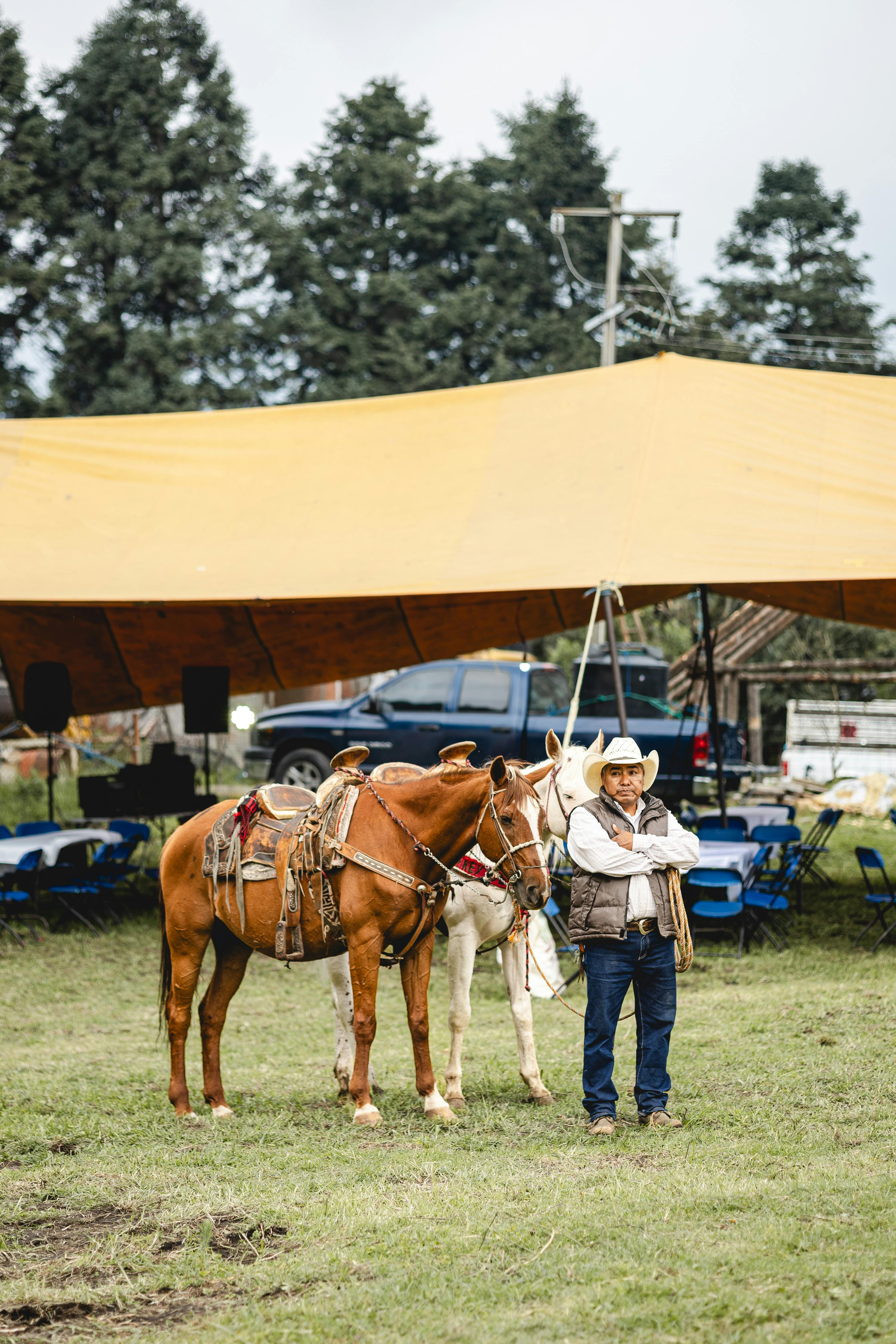 Horse Ranch Photos, Download The BEST Free Horse Ranch Stock Photos ...