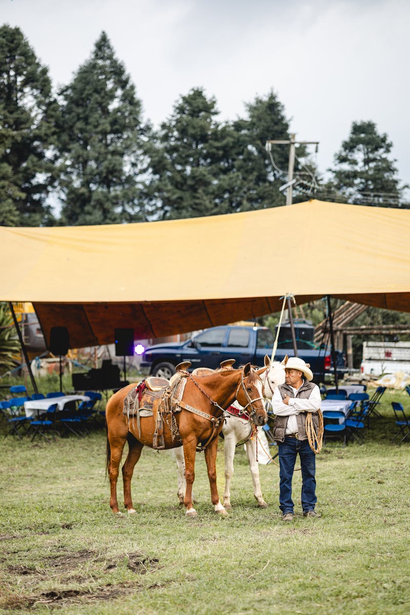 Horse Ranch Photos, Download The BEST Free Horse Ranch Stock Photos ...