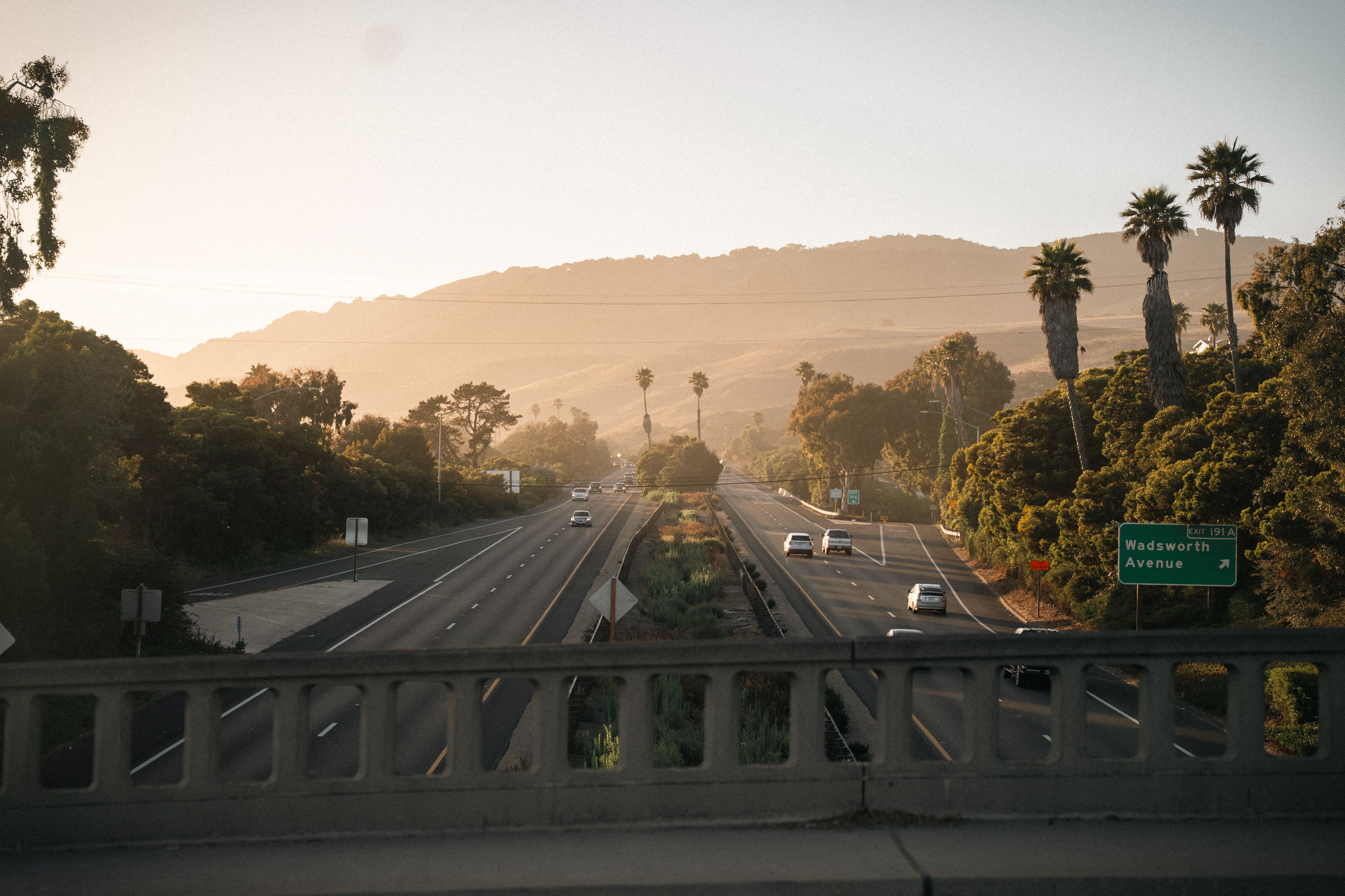 Scenic Highway at Sunrise with Palm Trees · Free Stock Photo