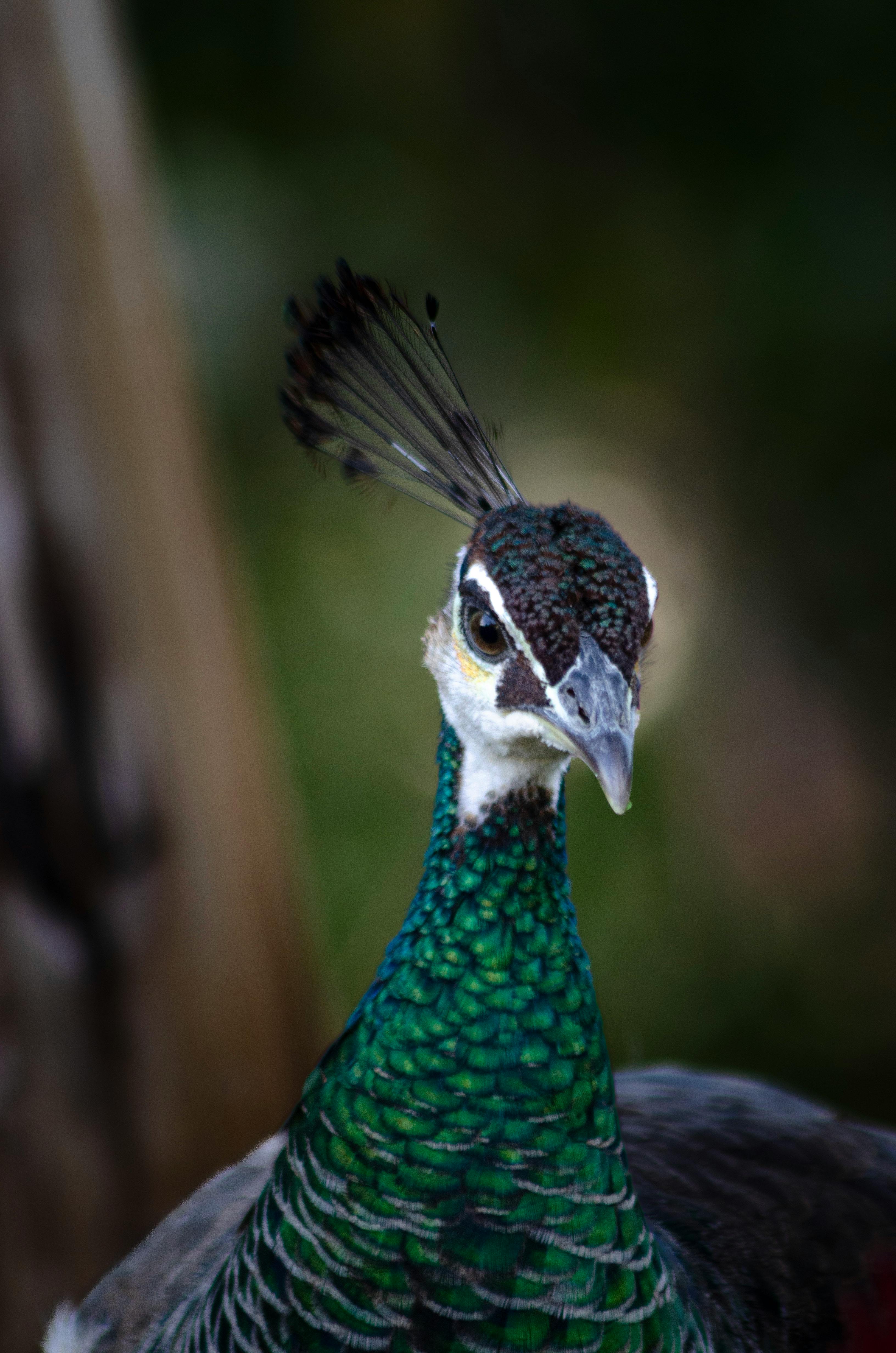 Beautiful Nature Points In Theory Photos, Download The BEST Free ...