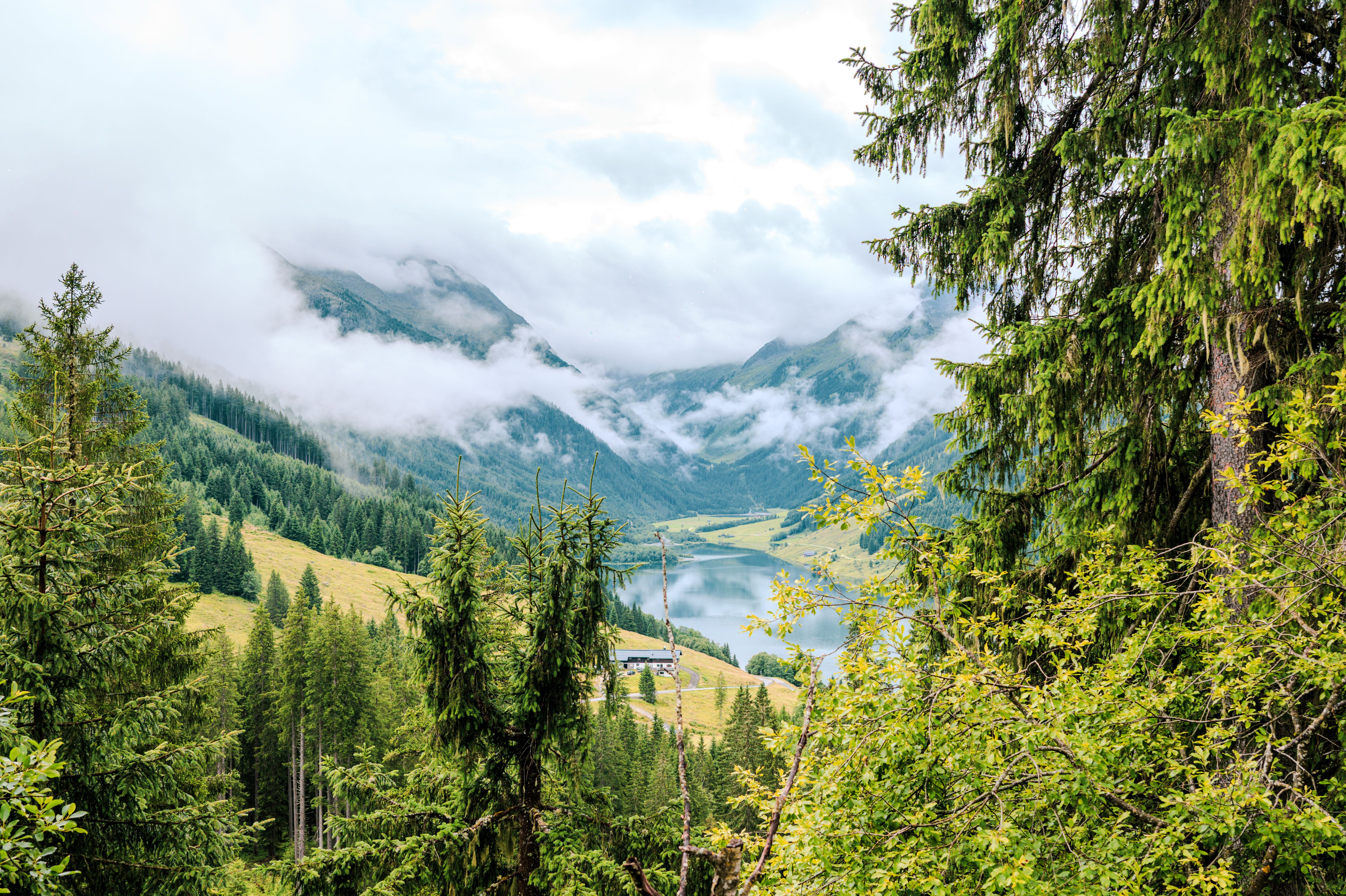 Free stock photo of adventure, alpine, alps, clouds, cloudy, conifers ...
