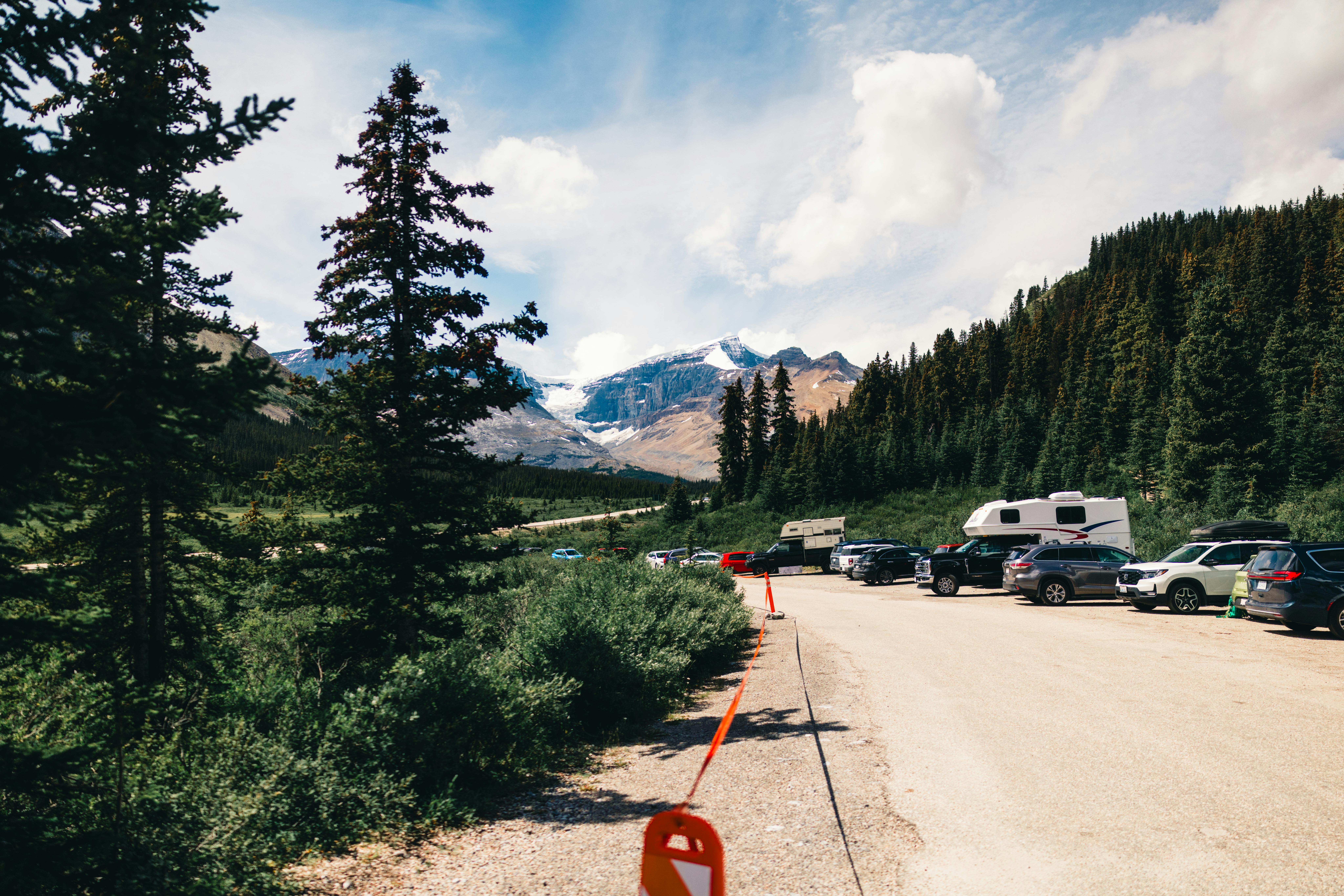 Roadside Forest Photos, Download The BEST Free Roadside Forest Stock ...