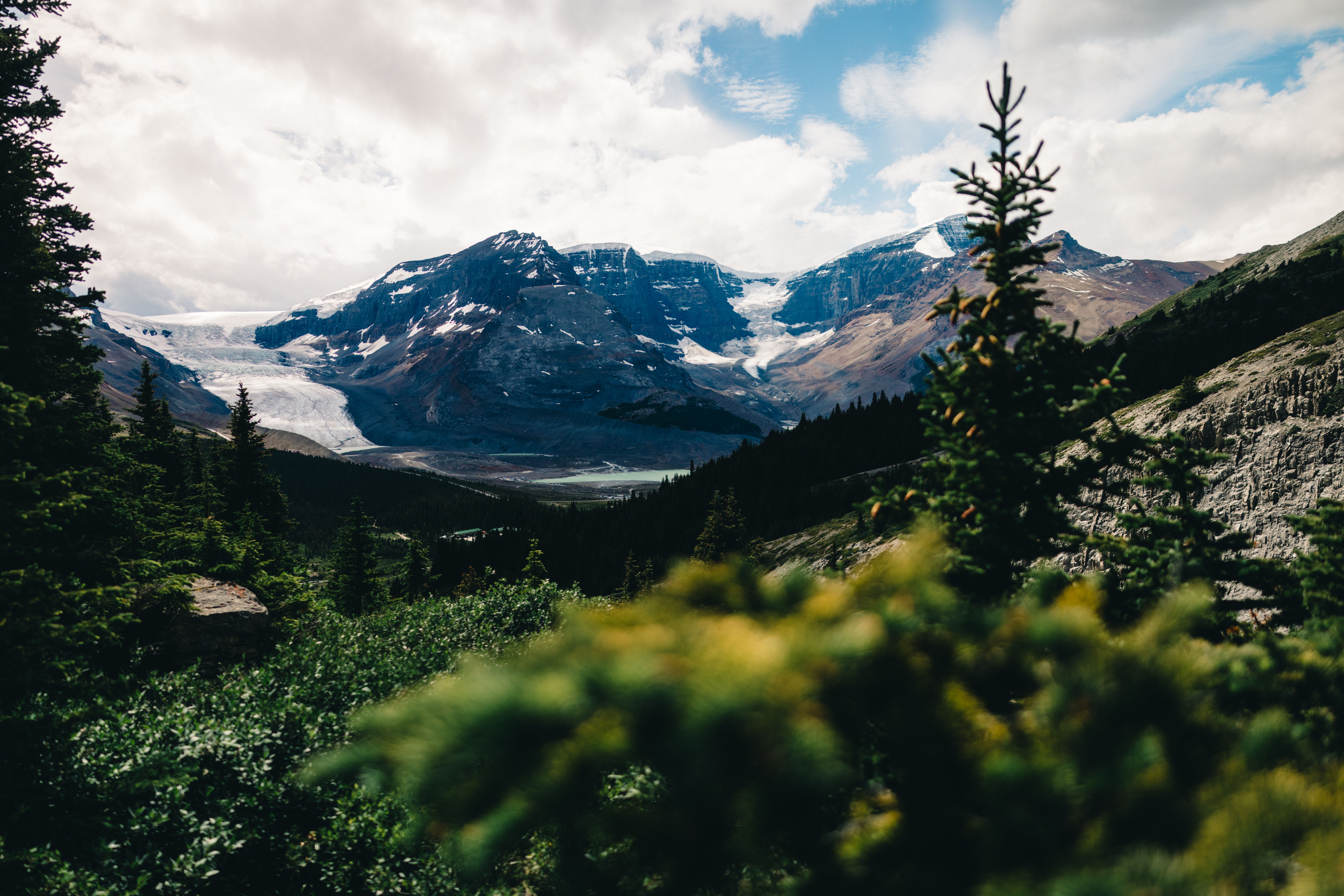 Majestic Mountain View in Jasper National Park · Free Stock Photo