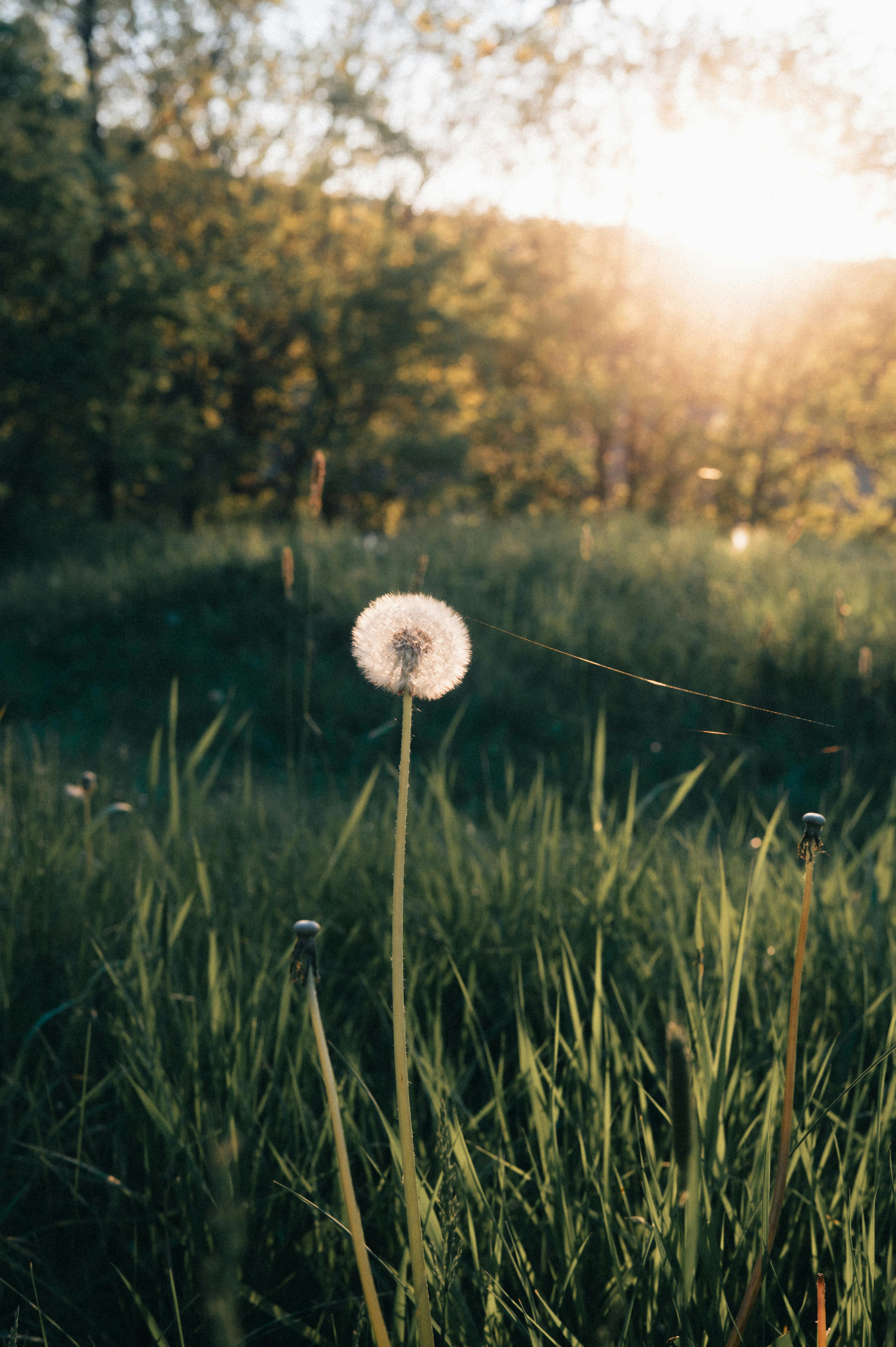 Calming Photos, Download The BEST Free Calming Stock Photos & HD Images