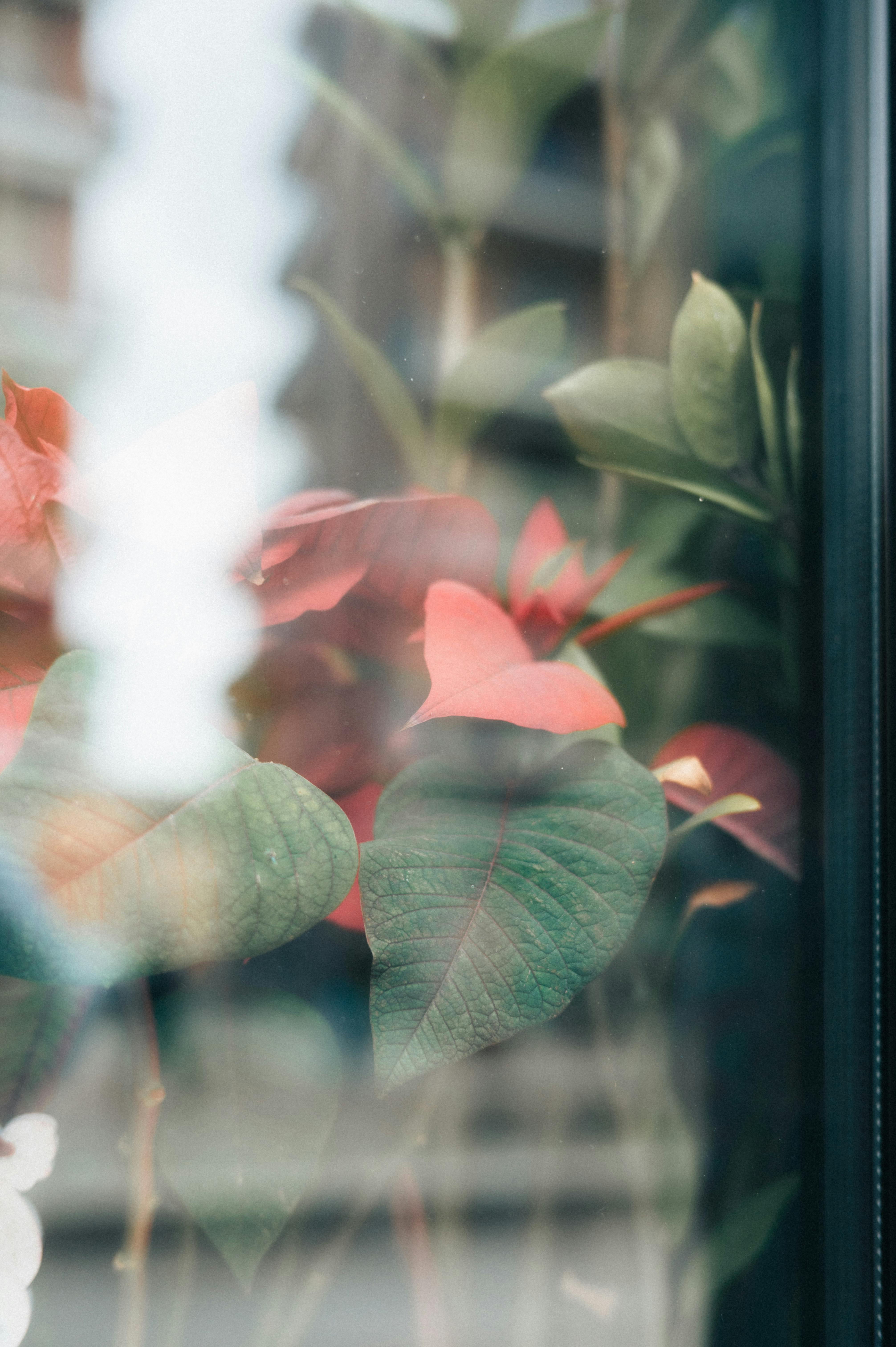 Roblox+Spawn+Point+Transparent+Png Photos, Download The BEST Free ...