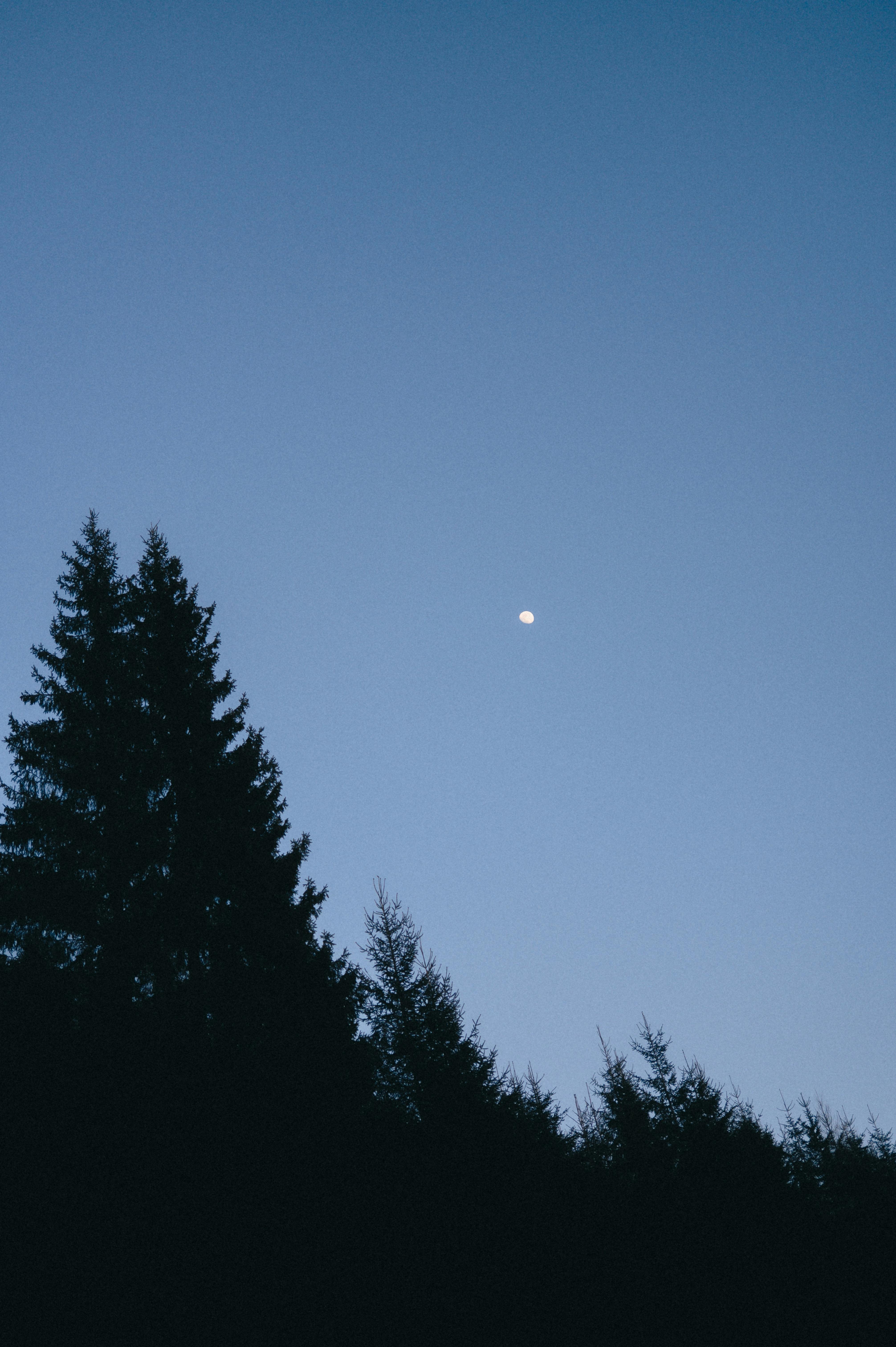 Void Dungeon Photos, Download The BEST Free Void Dungeon Stock Photos ...