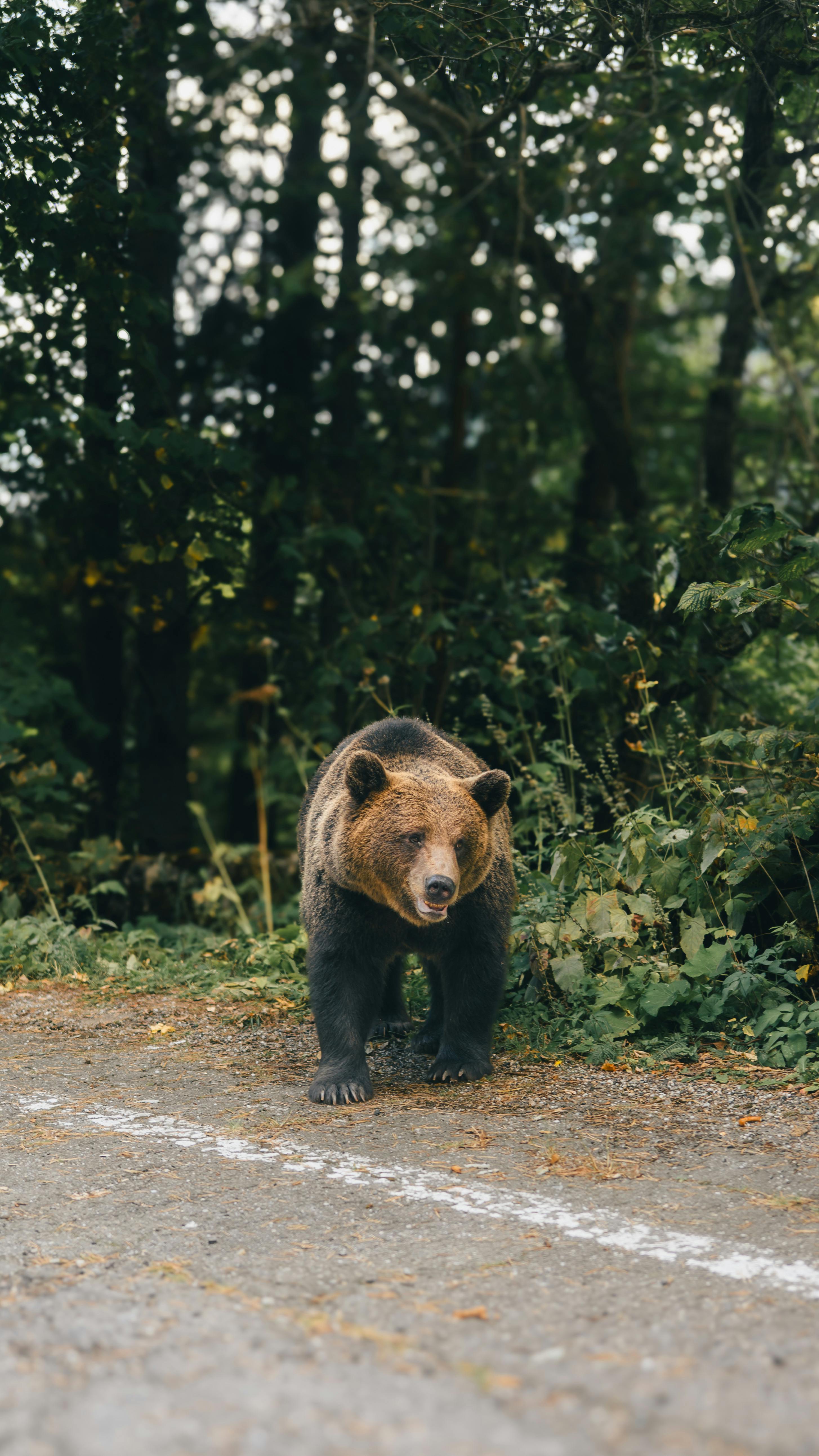 Ash+Kash+Takes+Back+Shots Photos, Download The BEST Free Ash+Kash+Takes ...