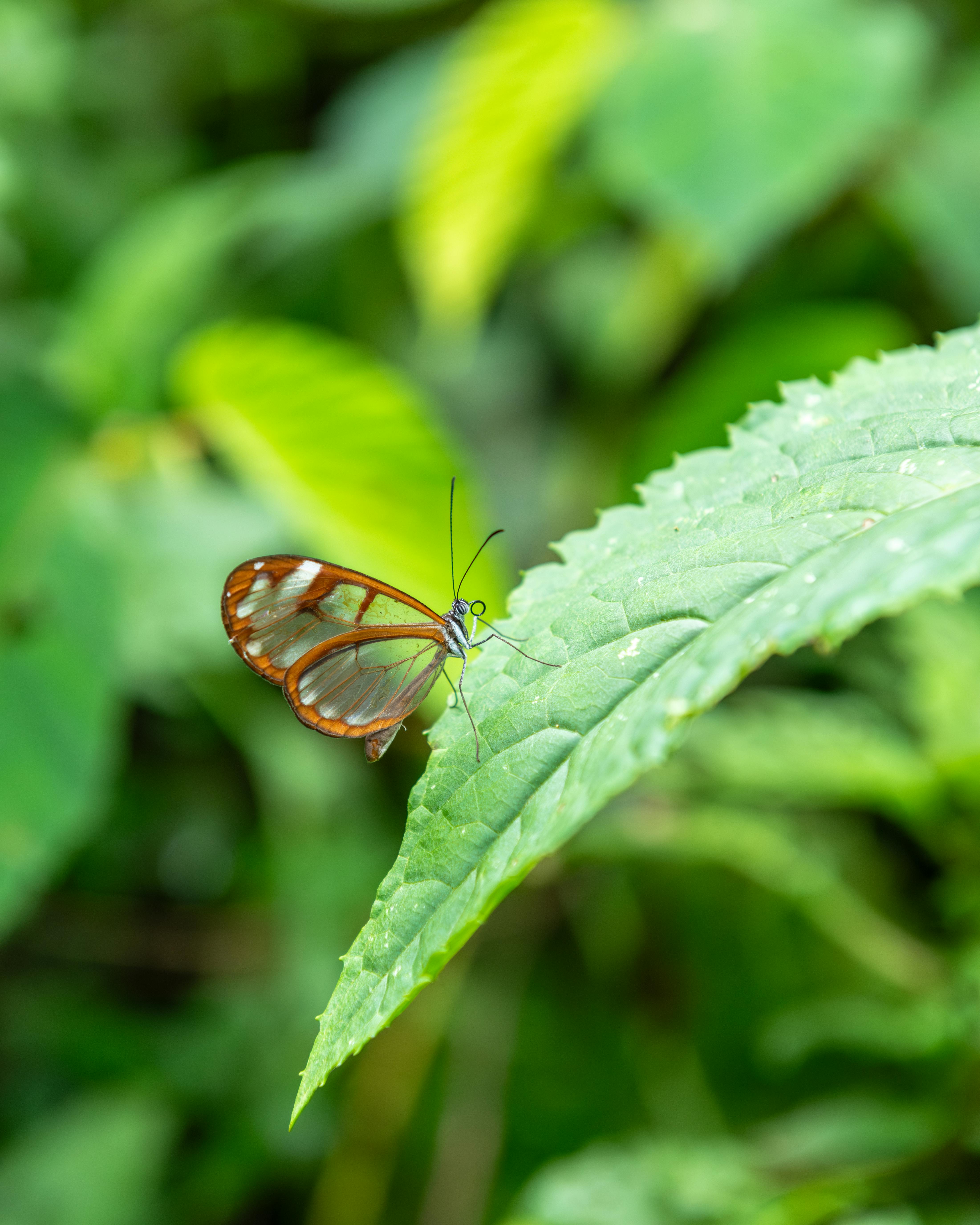 Oto Mekaniği Photos, Download The BEST Free Oto Mekaniği Stock Photos ...