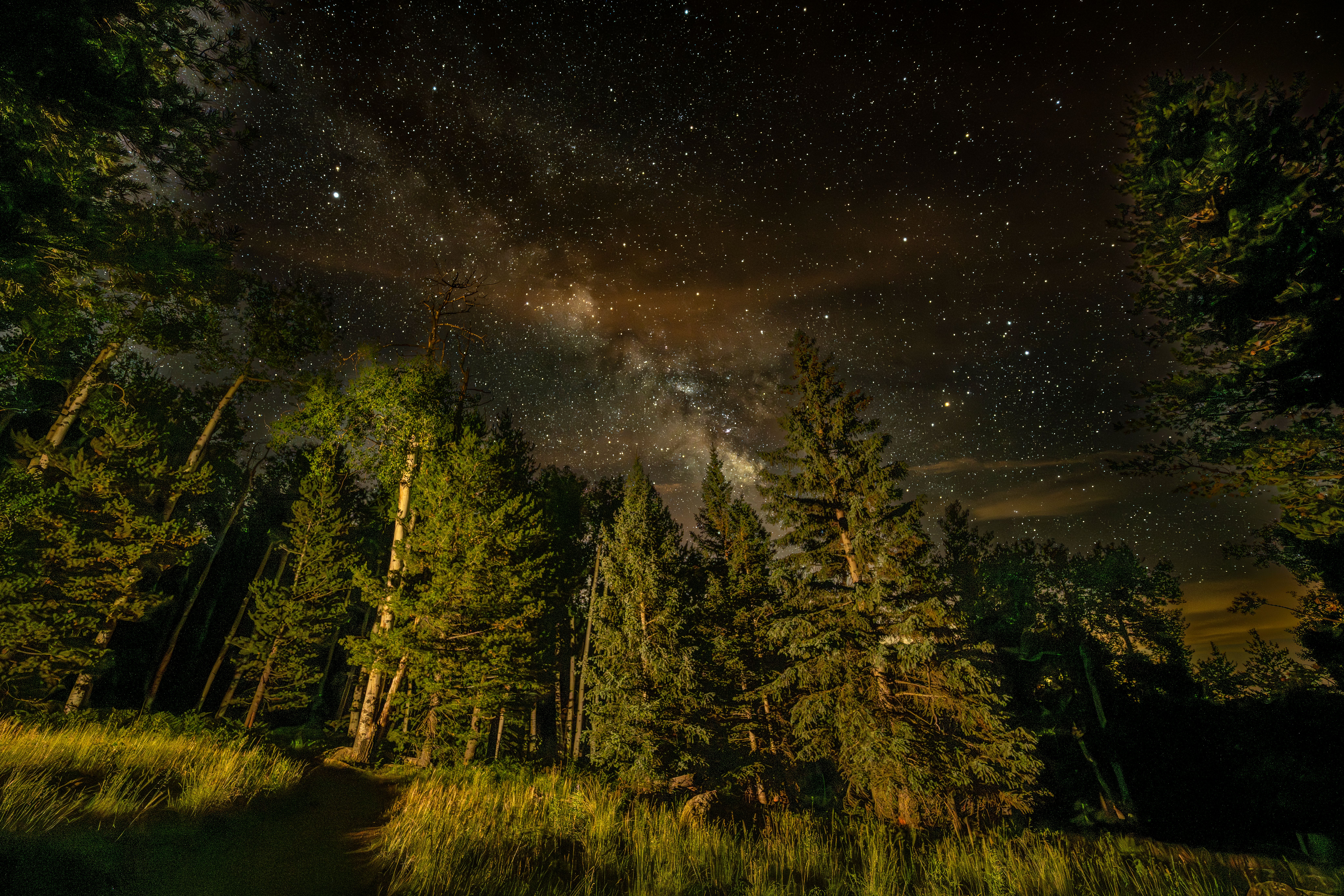 Stunning Night Sky Over Flagstaff Arizona Forest · Free Stock Photo