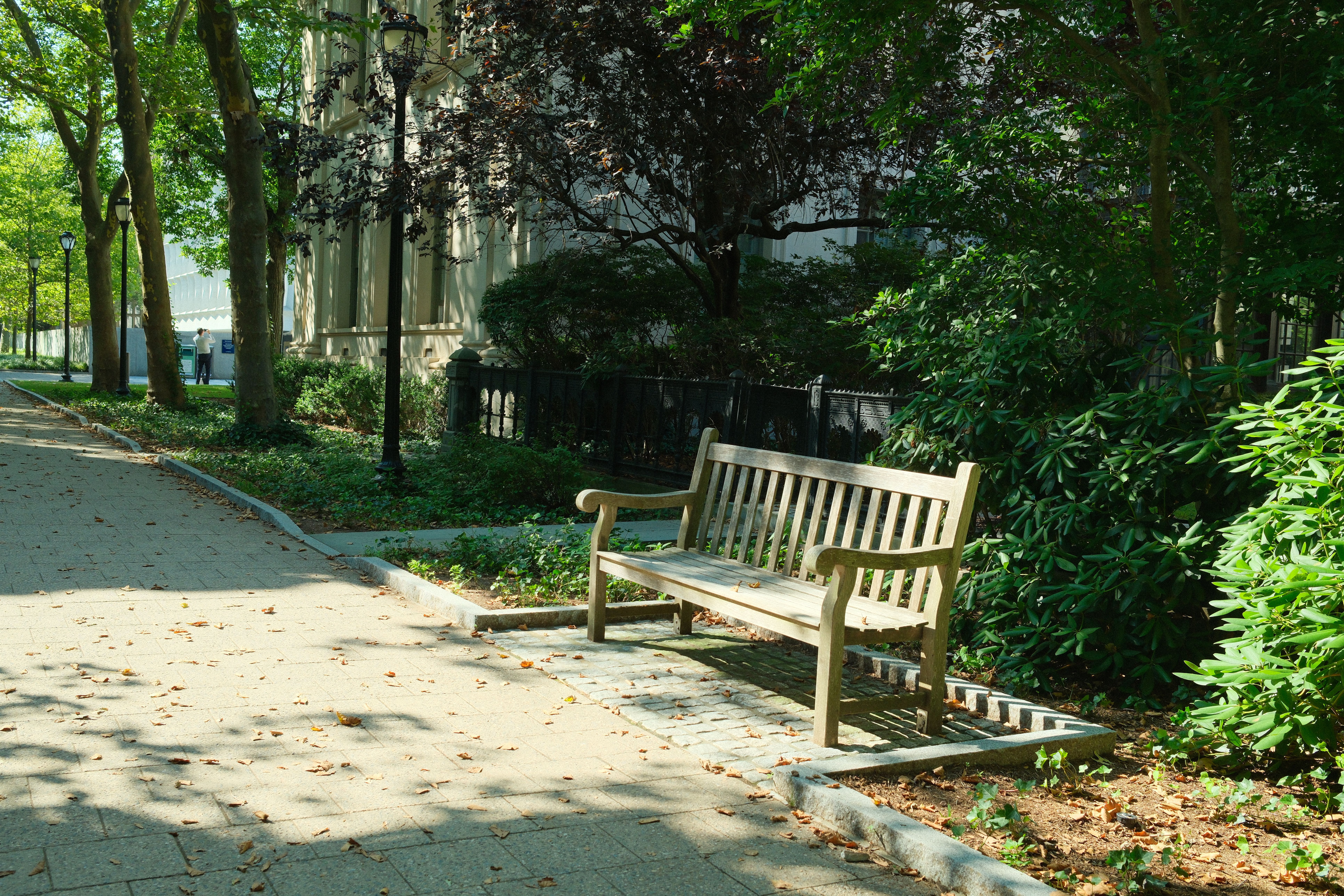 Peaceful Park Bench in Sunny Green Park Setting · Free Stock Photo