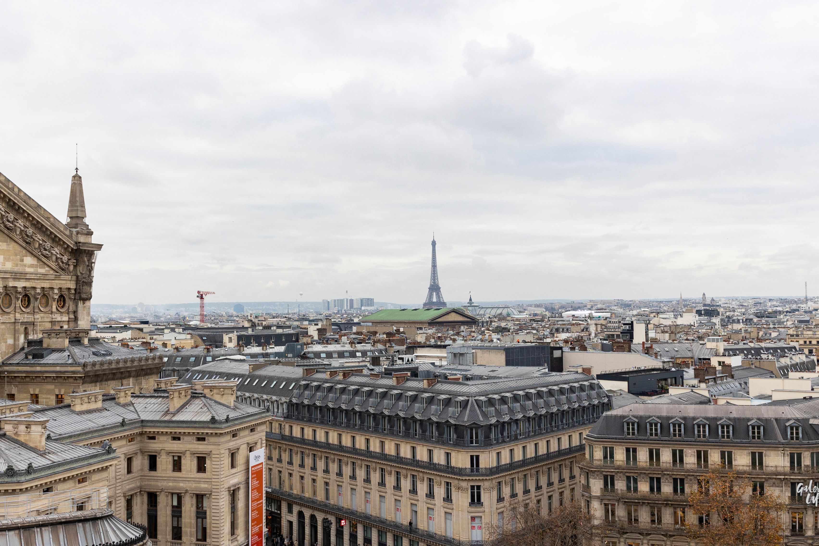Scenic View of Paris with Eiffel Tower · Free Stock Photo