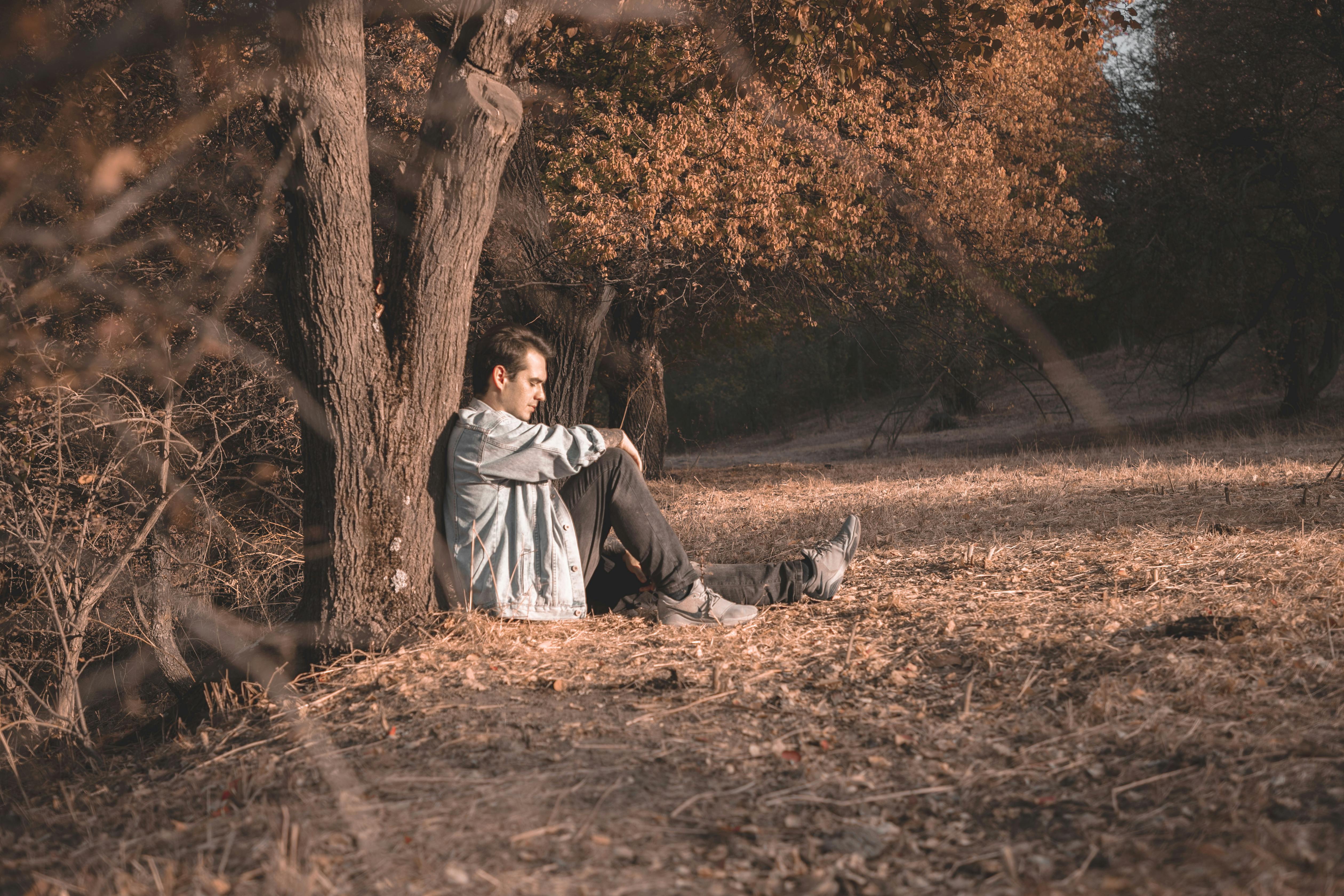 Man Sitting Beside Tree · Free Stock Photo