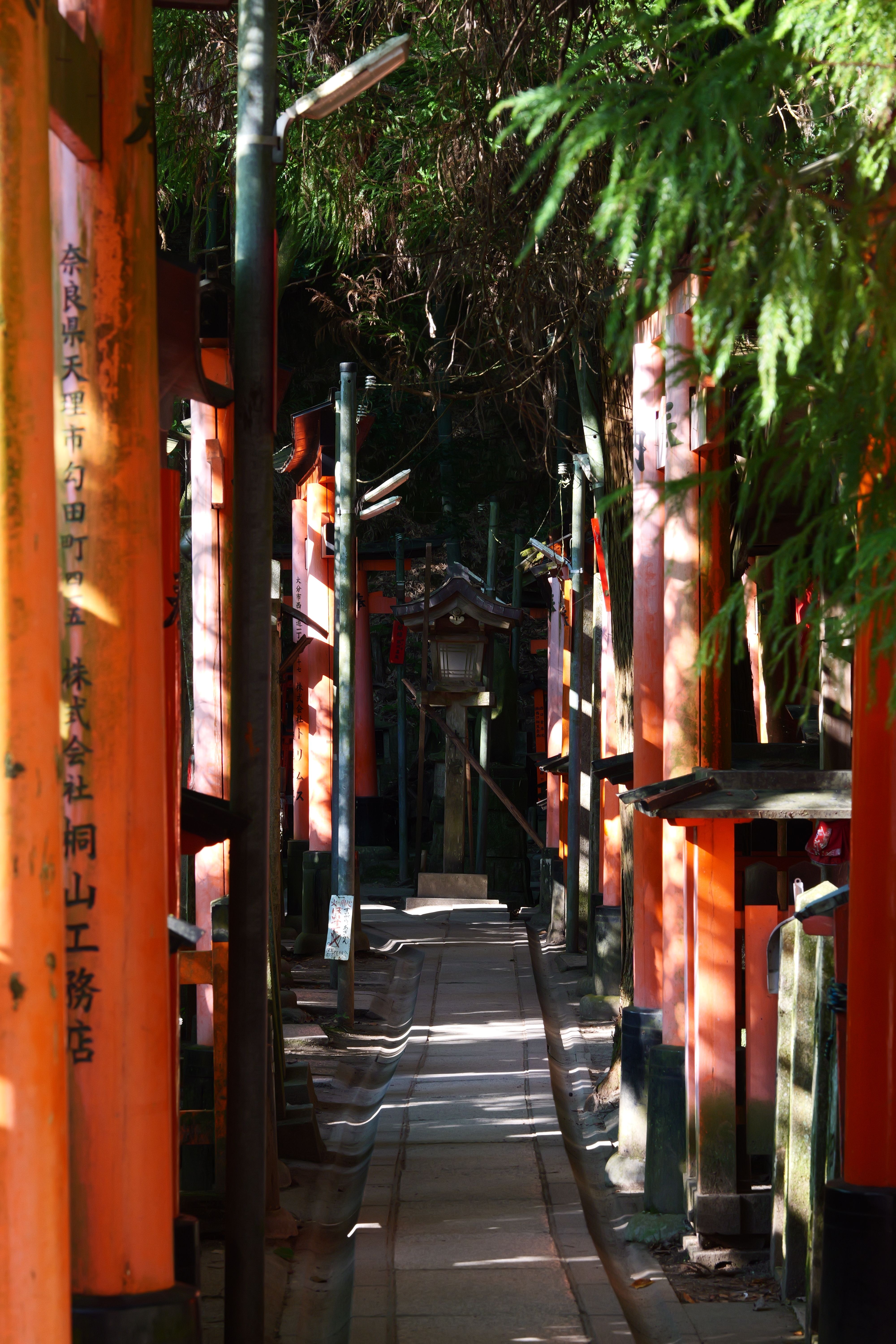 Narrow Path Through Tori Gate Towards A Japanese Temple Photos ...