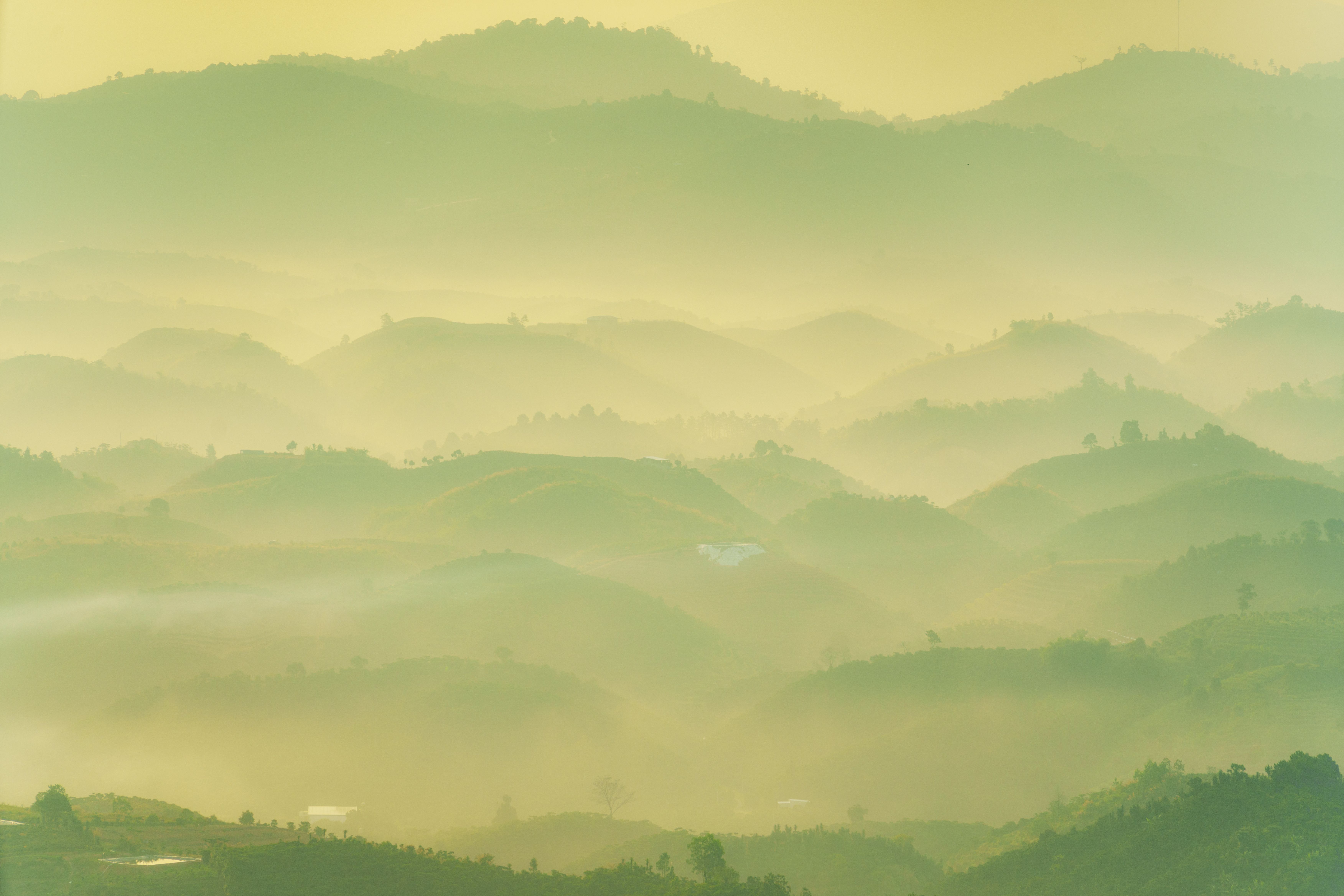Morning Background Photos, Download The BEST Free Morning Background ...