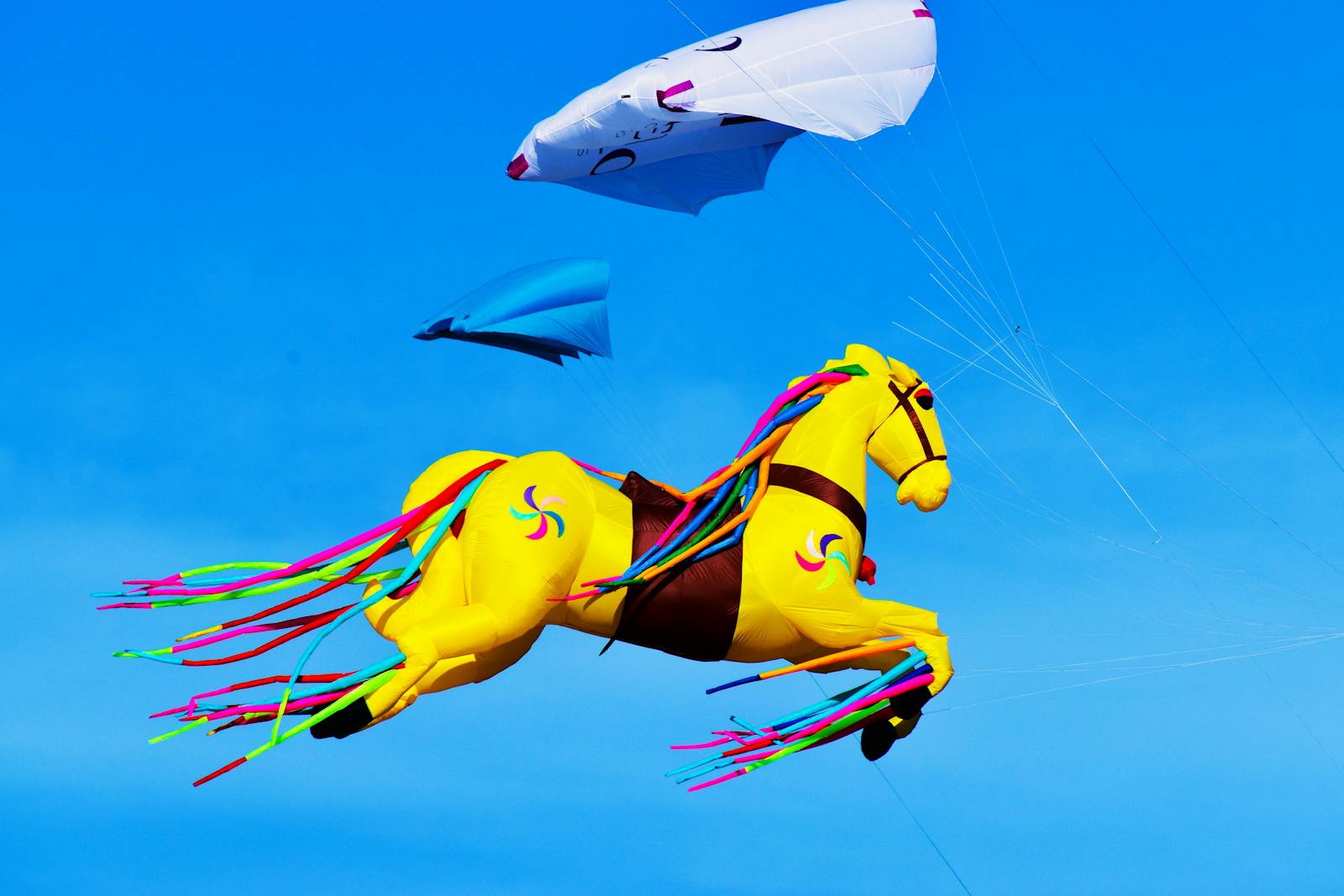 Free Image Of A Kite Photos, Download The BEST Free Free Image Of A ...