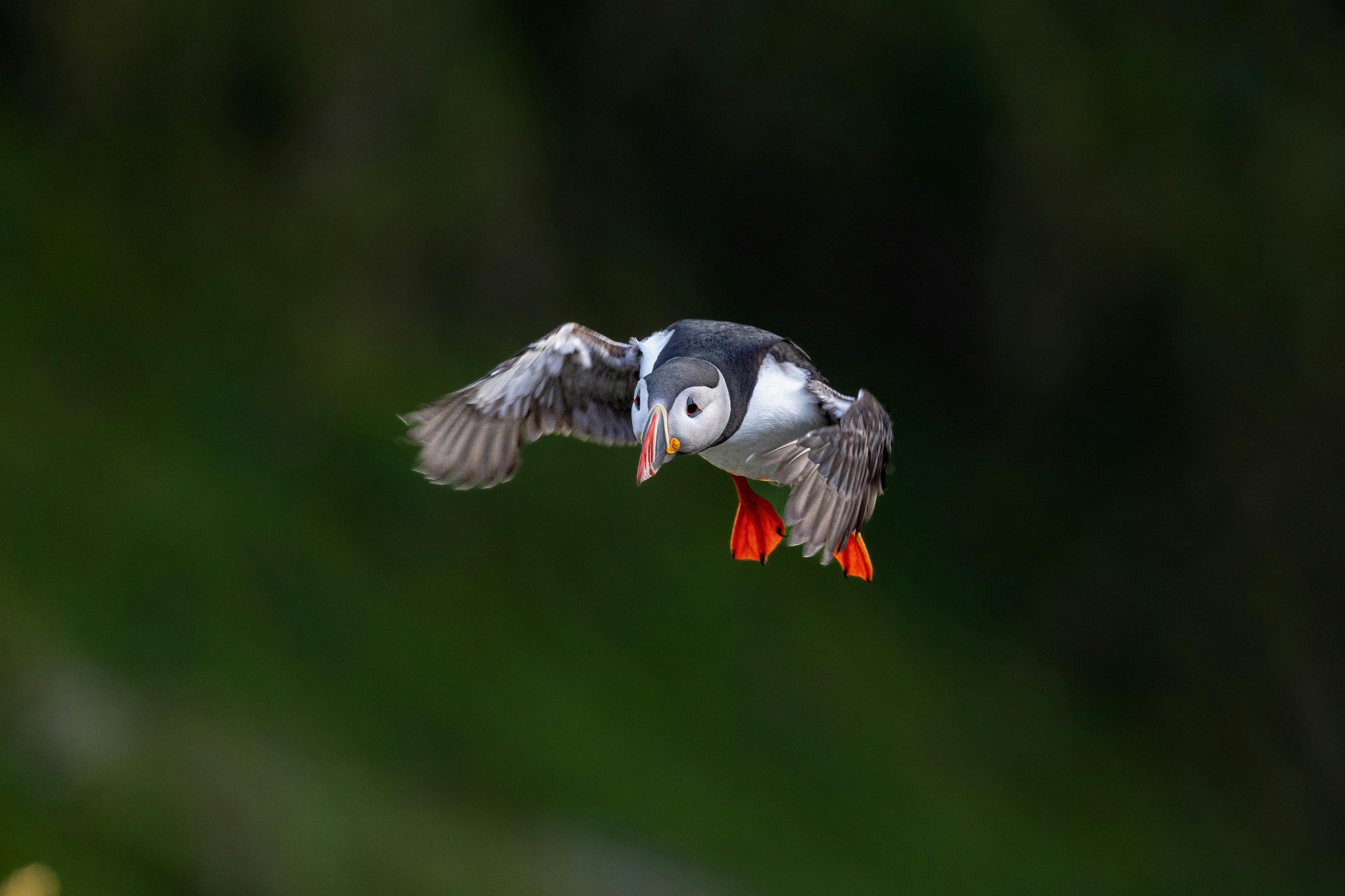 77.916+ Fotos y Imágenes de Senos+hermosos+desnudos Gratis · Banco de ...