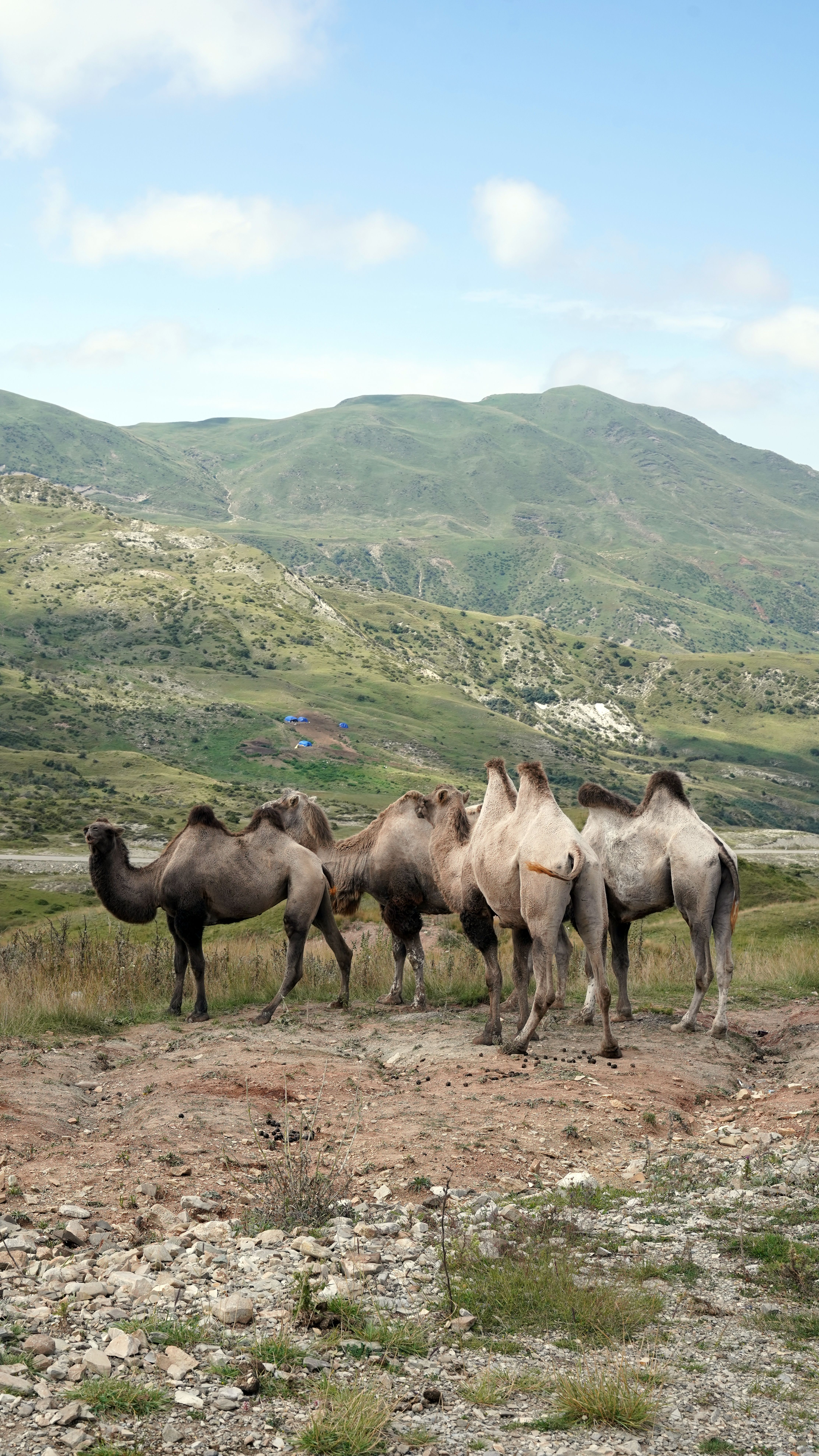 Group In Nature Photos, Download The BEST Free Group In Nature Stock ...