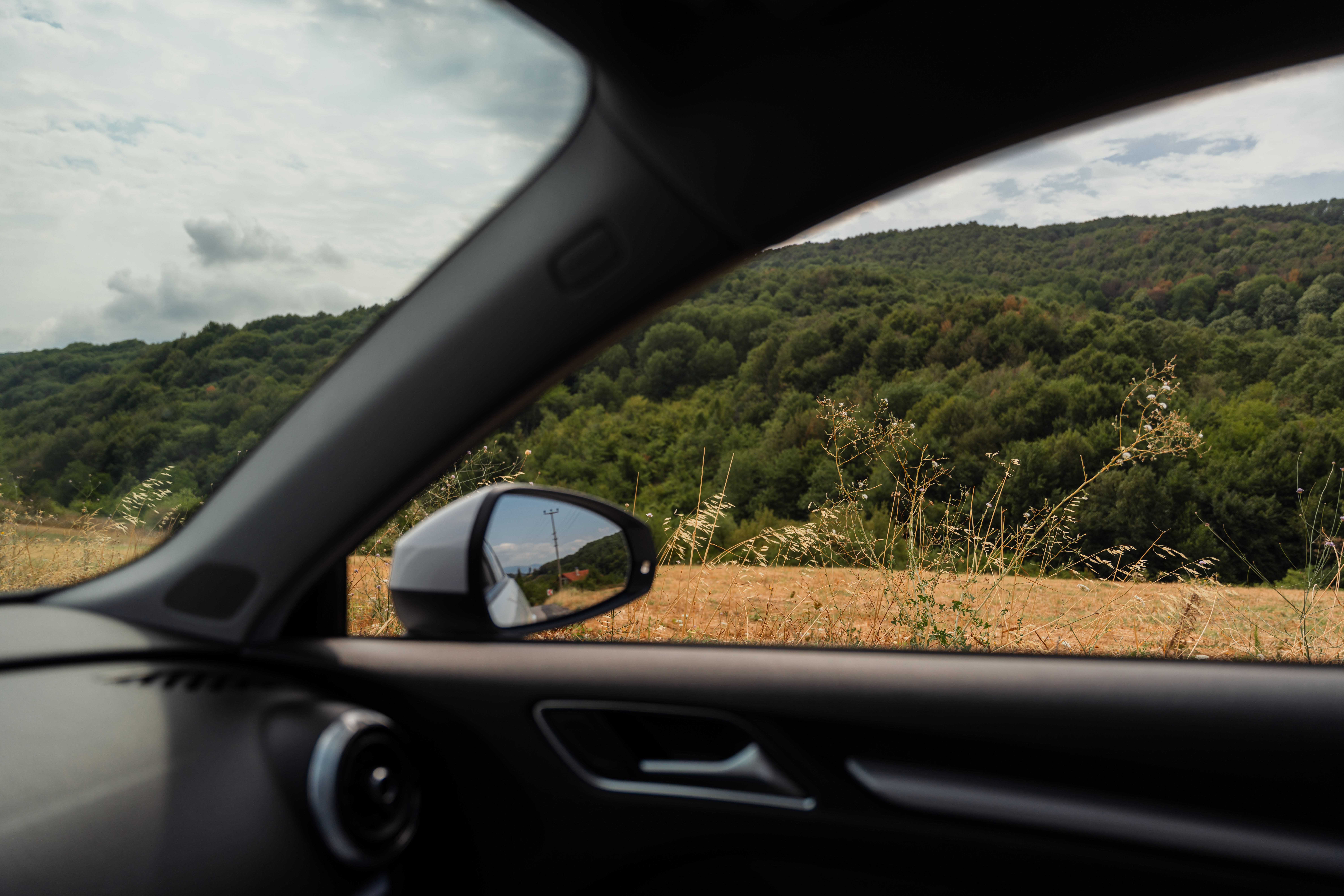 Scenic Forest View from Car Window on a Road Trip · Free Stock Photo