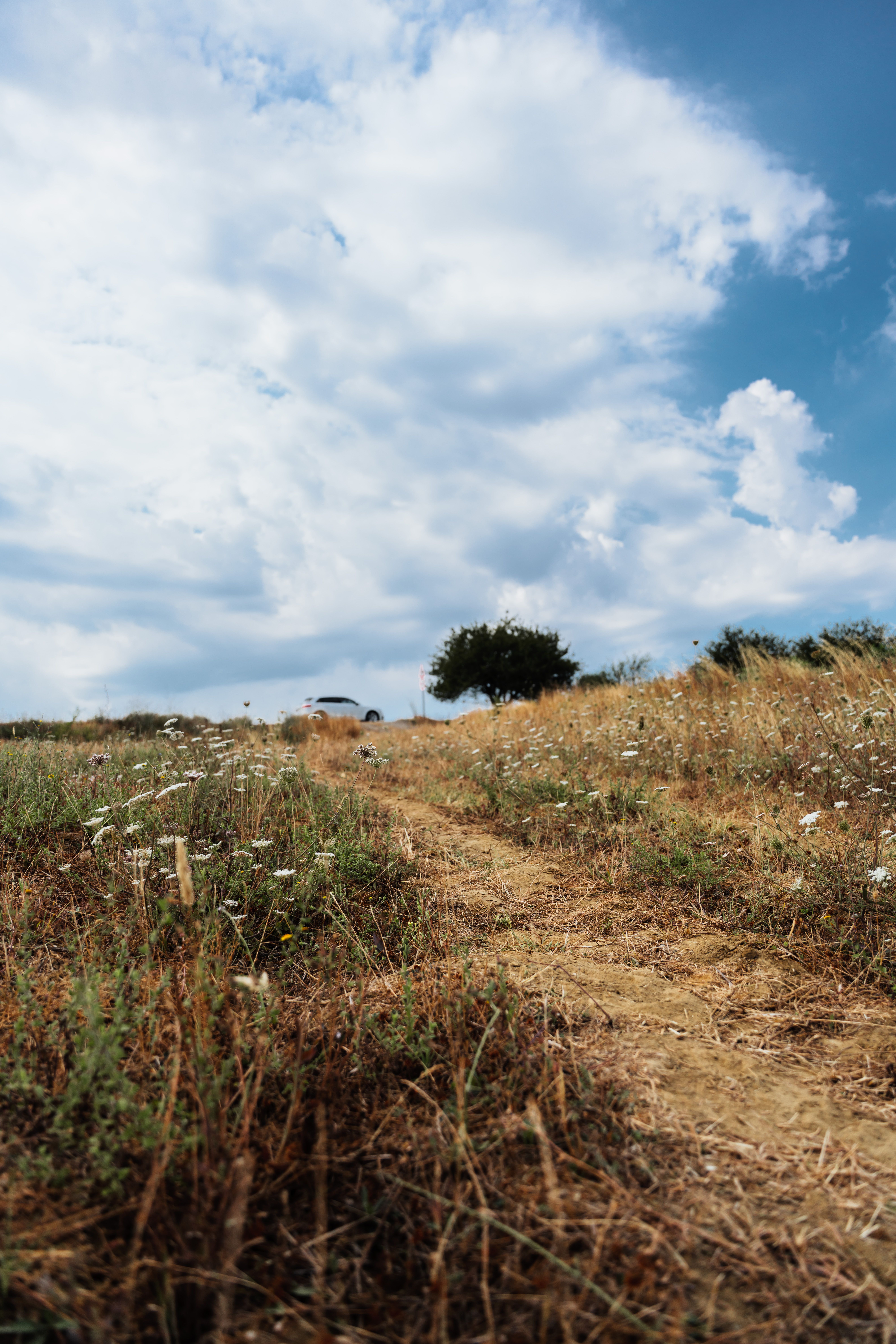 Tranquil Countryside Path under Blue Sky · Free Stock Photo