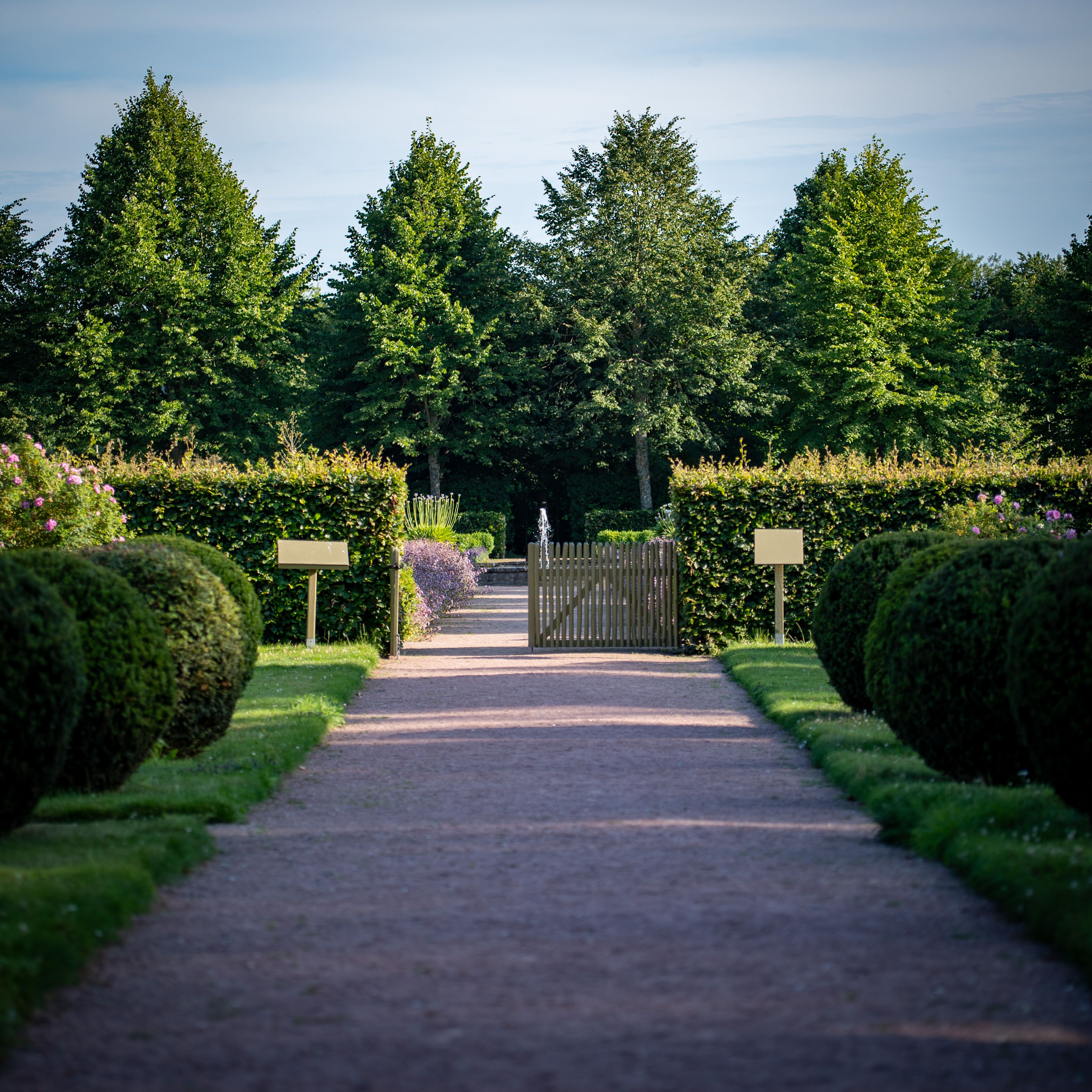 Elegant Garden Pathway in Skåne Region, Sweden · Free Stock Photo