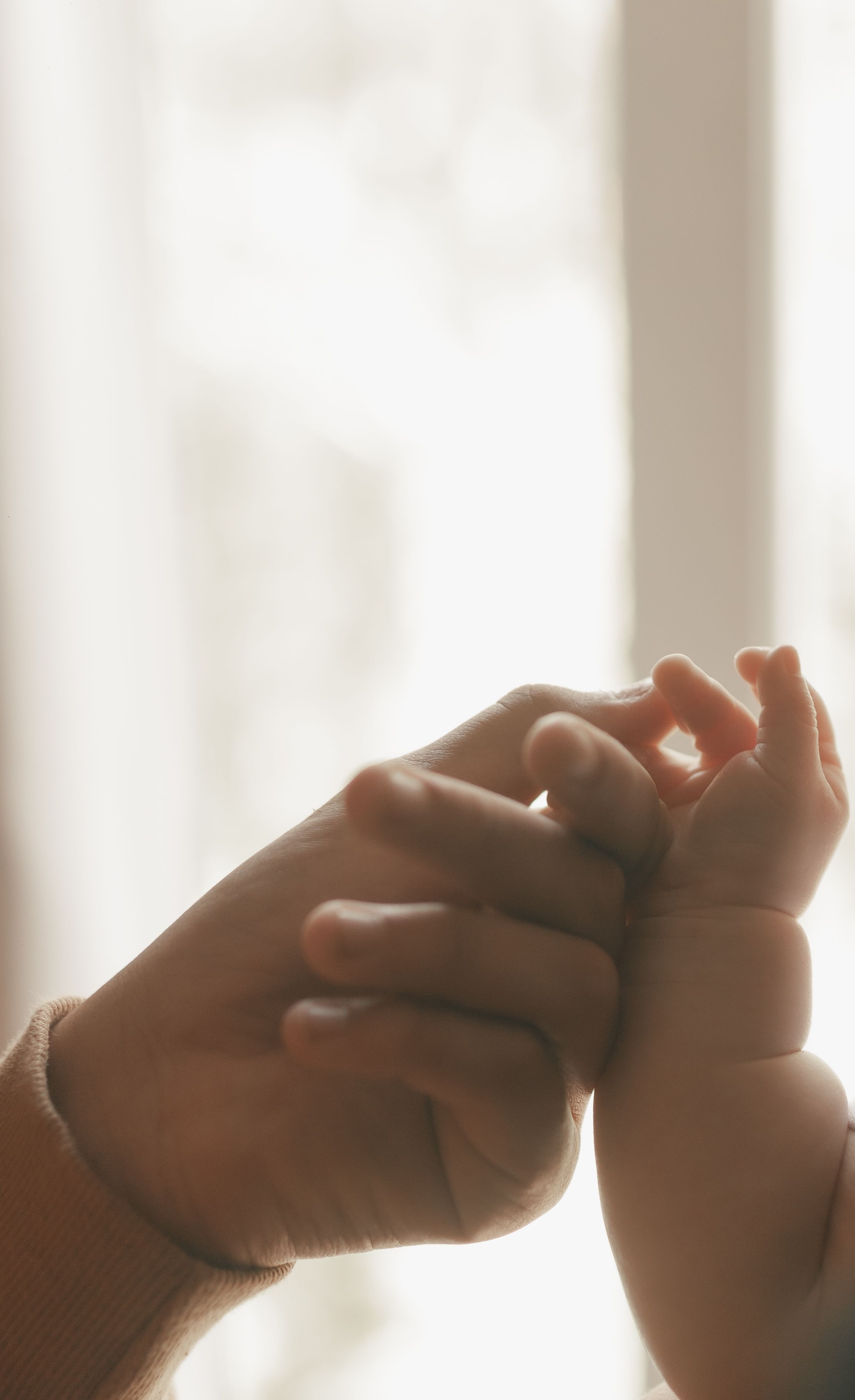 Hand Holding Photos, Download The BEST Free Hand Holding Stock Photos ...