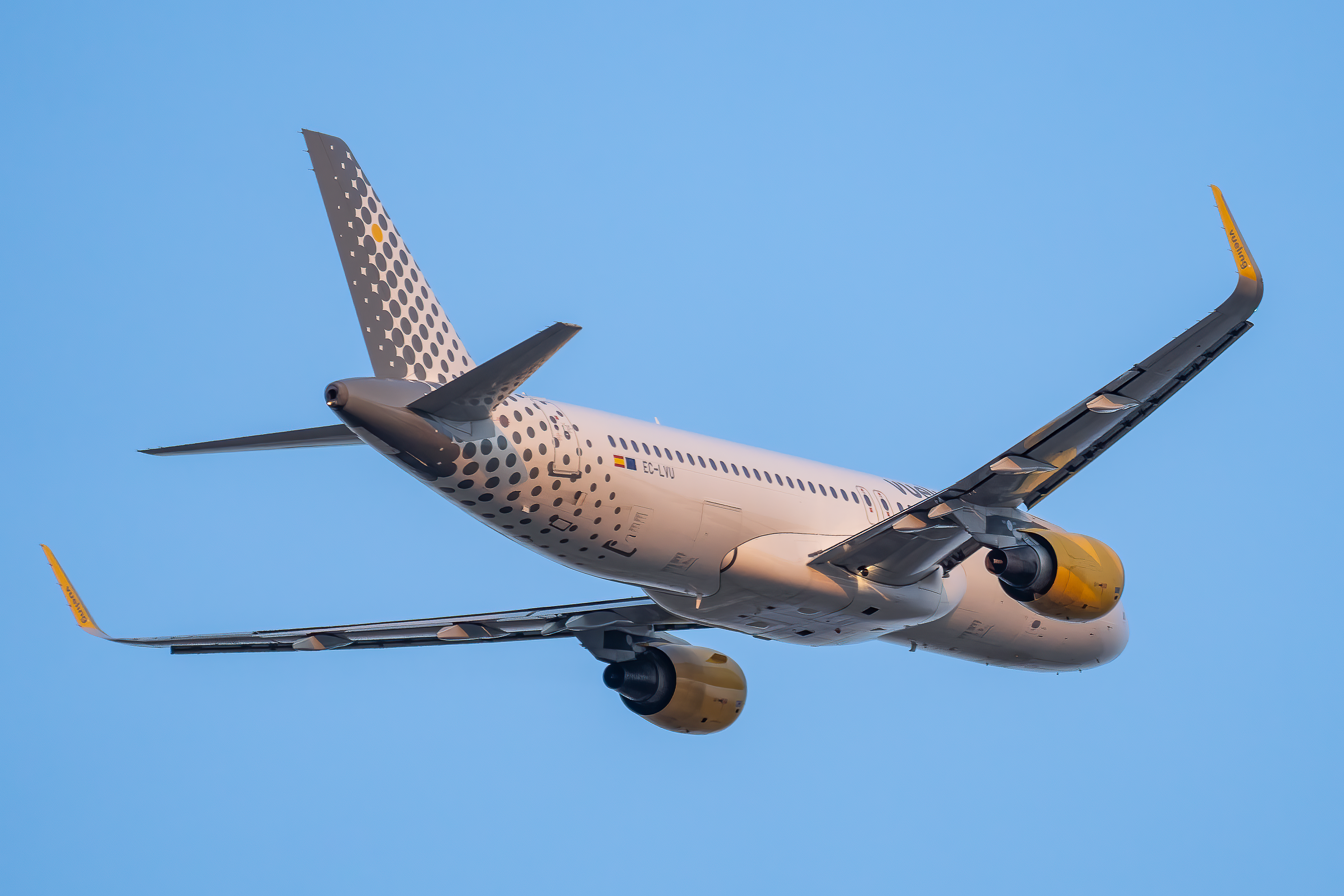 Commercial Airplane in Flight with Blue Sky · Free Stock Photo