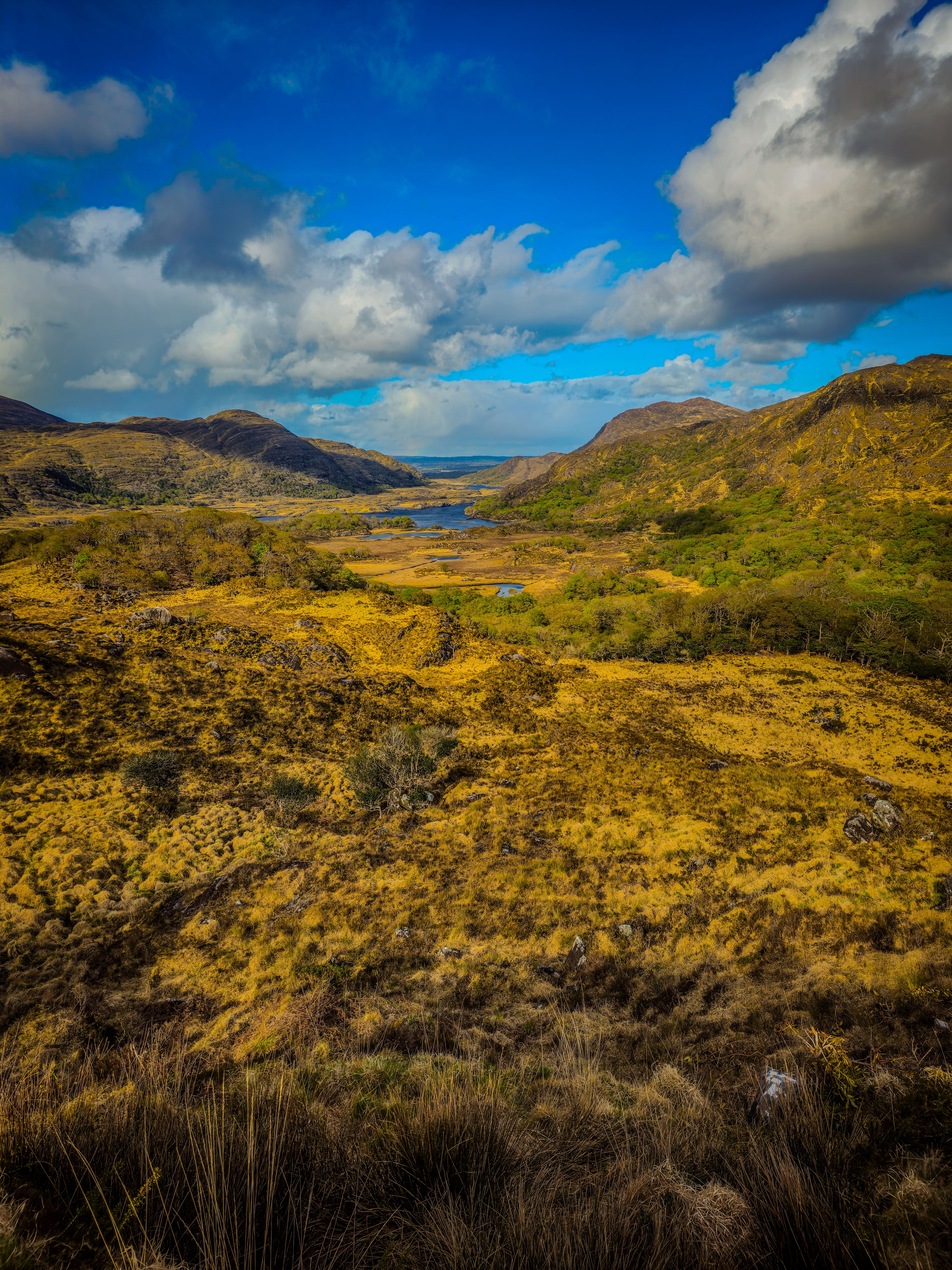 Stunning Landscape at Killarney National Park · Free Stock Photo